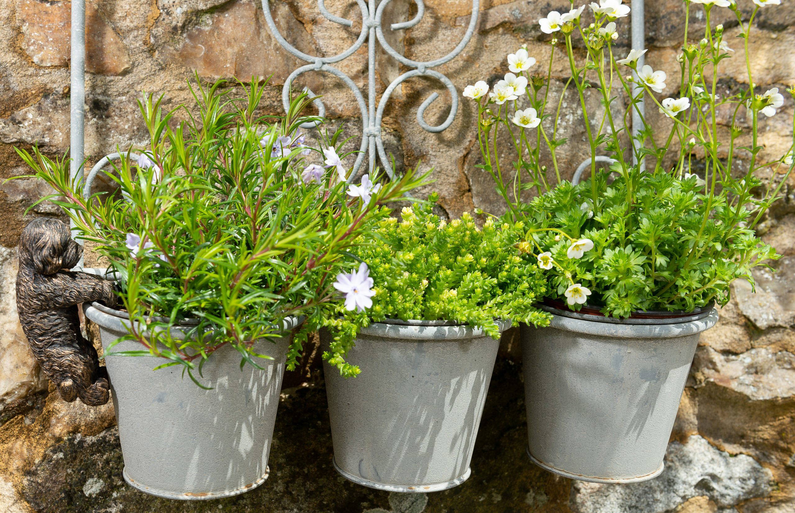 Antique Bronze Coloured Cockapoo Pot Buddy Plant Pot Hanger ...