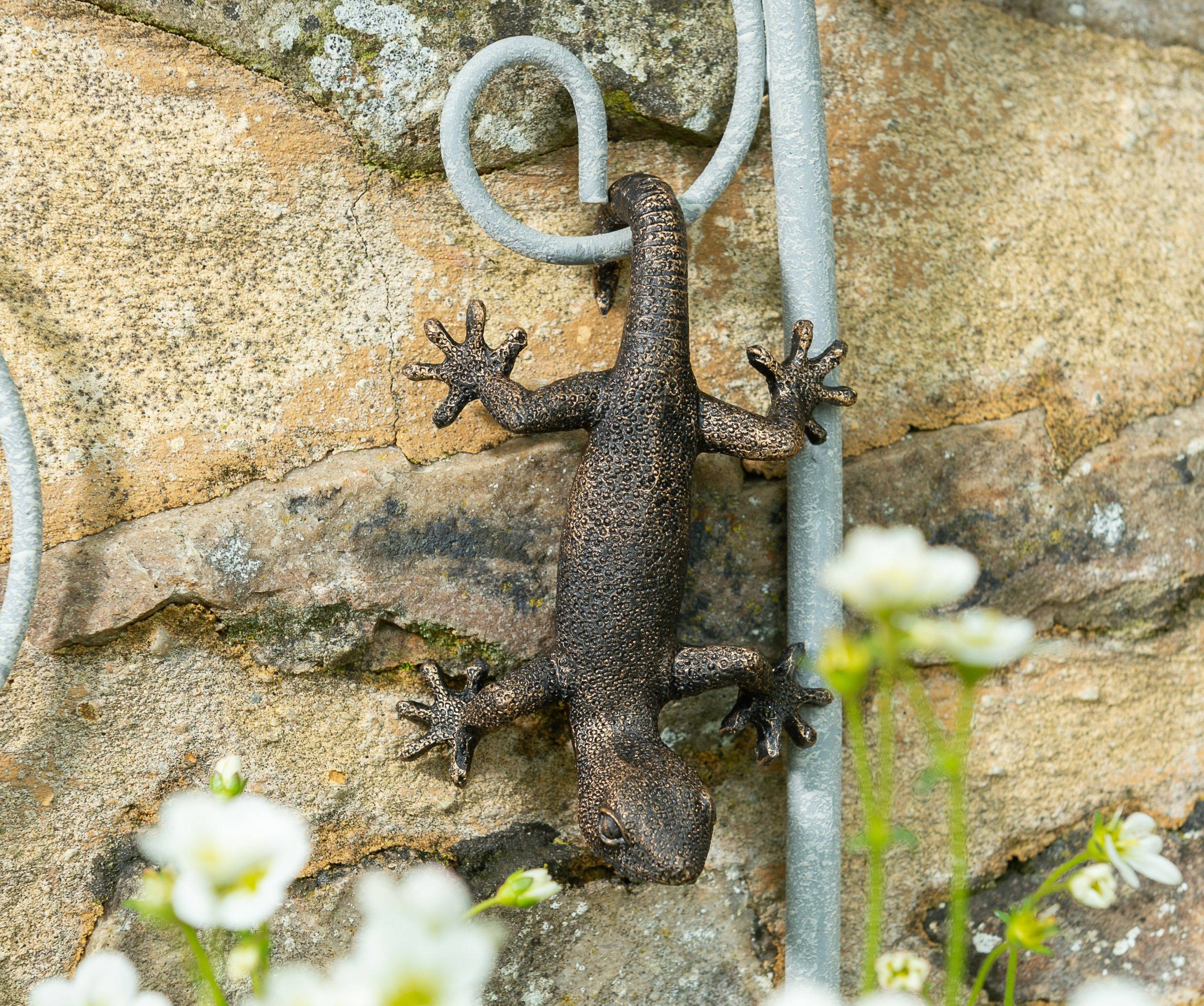 Antique Bronze Coloured Gecko Pot Buddy Plant Pot Hanger – Jardinopia Ltd
