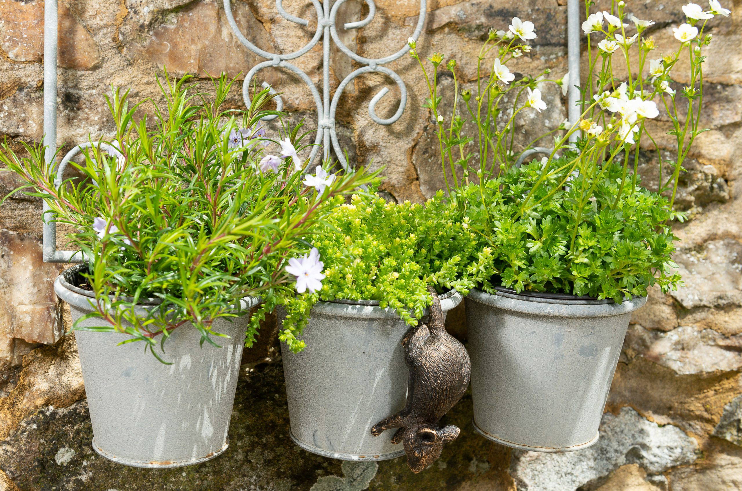 Antique Bronze Coloured Mouse Pot Buddy Plant Pot Hanger – Jardinopia Ltd