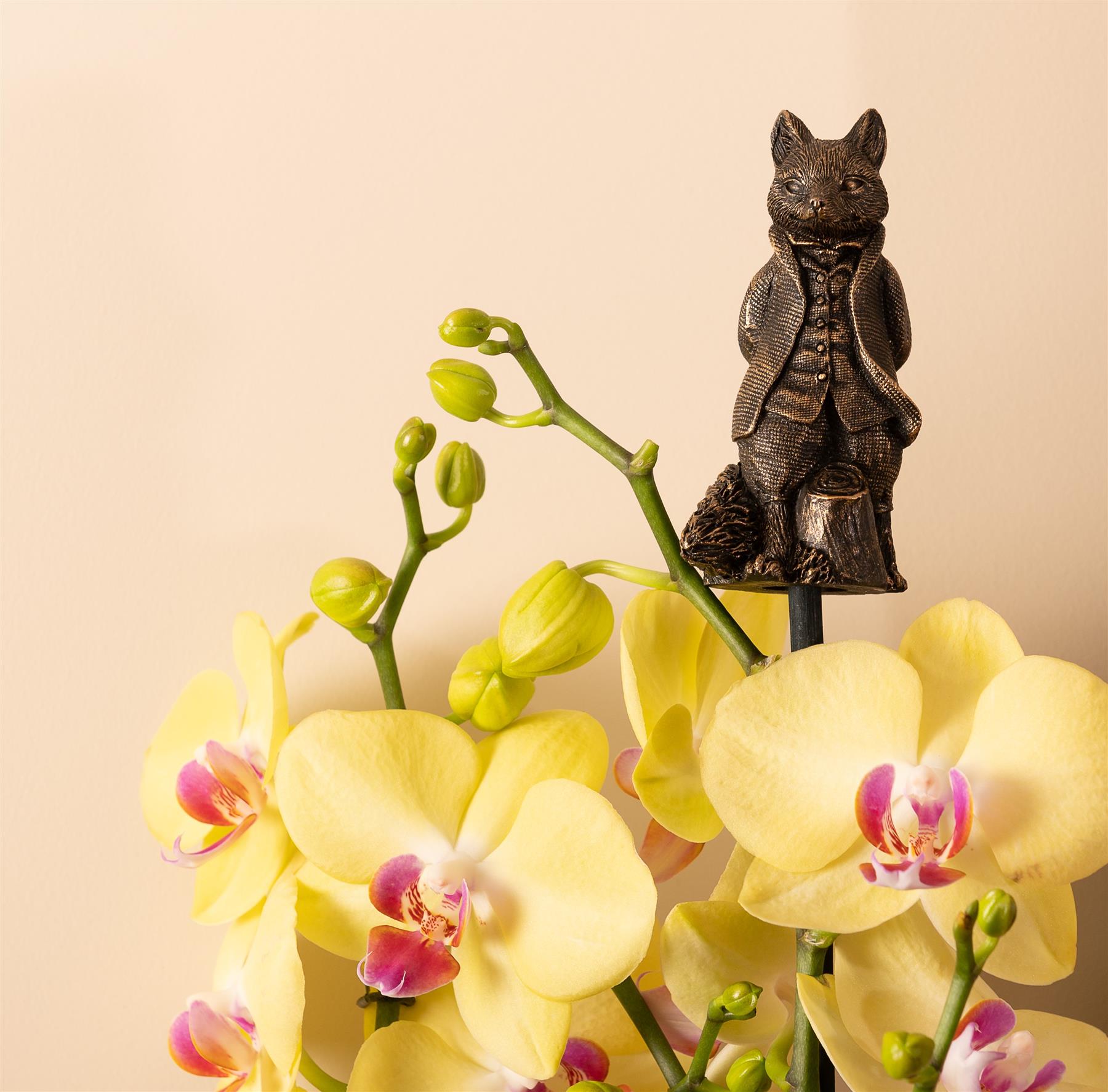 Beatrix Potter Mr. Tod Cane or Stake Topper – Jardinopia Ltd