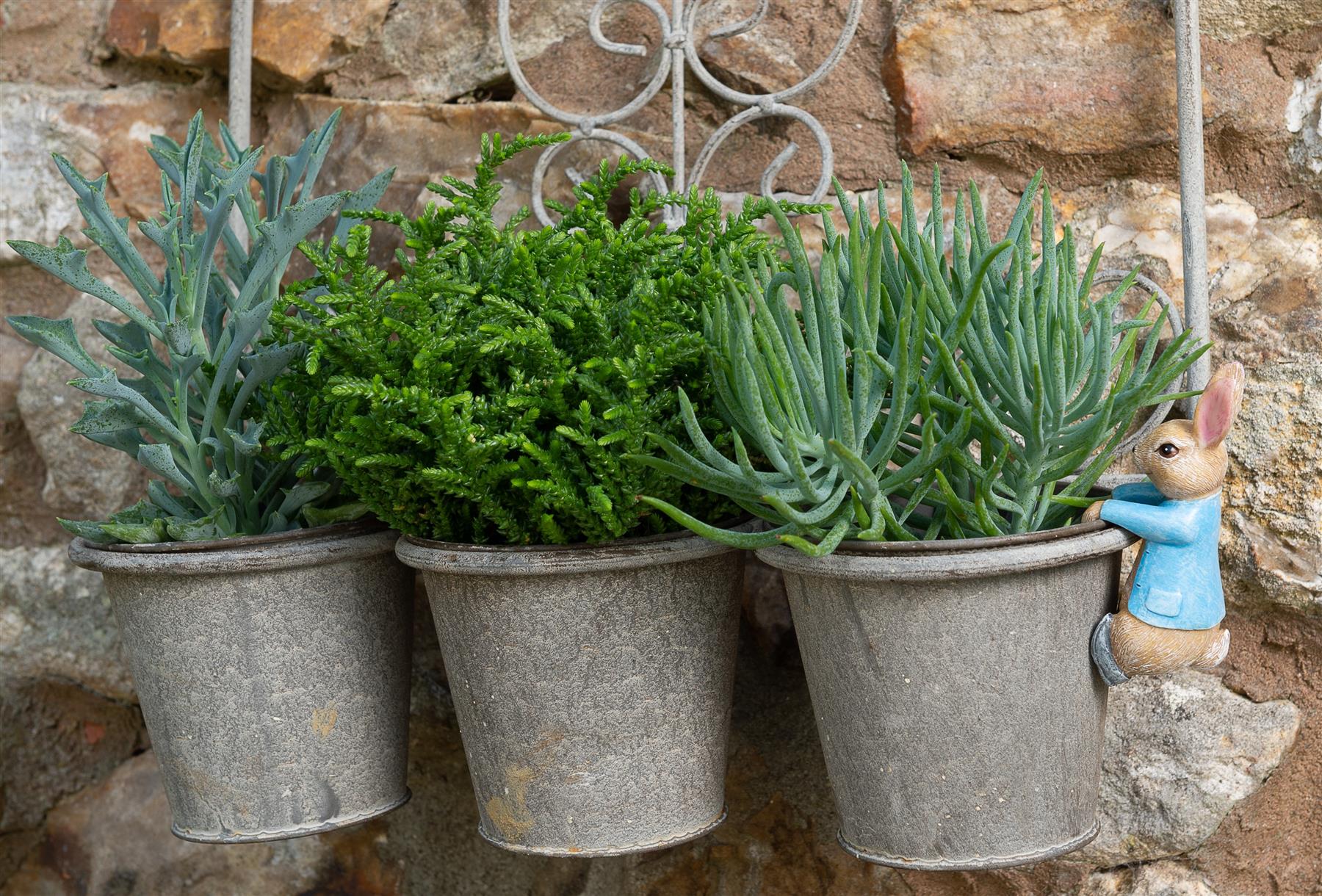 Beatrix Potter Peter Rabbit Hanging Plant Pot Hanger – Jardinopia Ltd