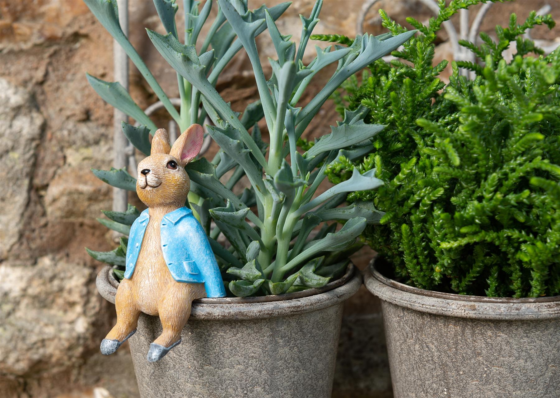 Beatrix Potter Peter Rabbit Sitting Plant Pot Hanger – Jardinopia Ltd