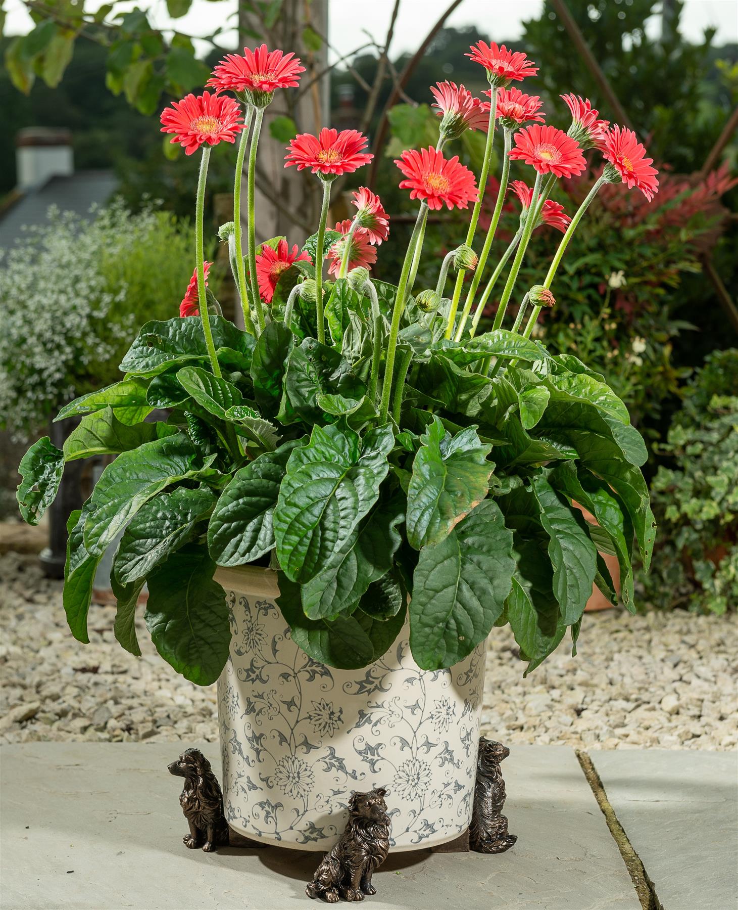 Border Collie Plant Pot Feet – Set of 3 – Jardinopia Ltd