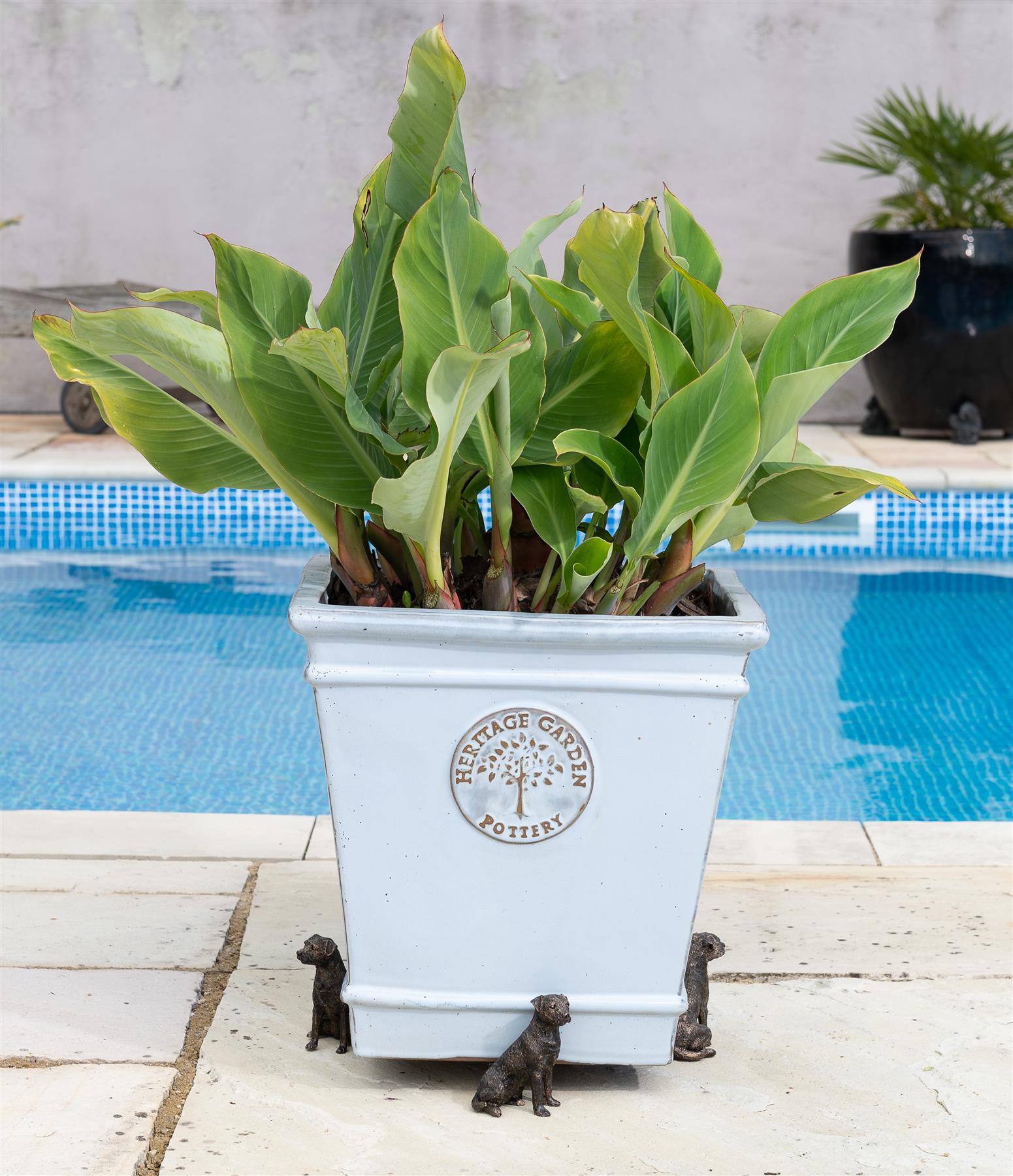 Border Terrier Plant Pot Feet – Set of 3 - Jardinopia Ltd