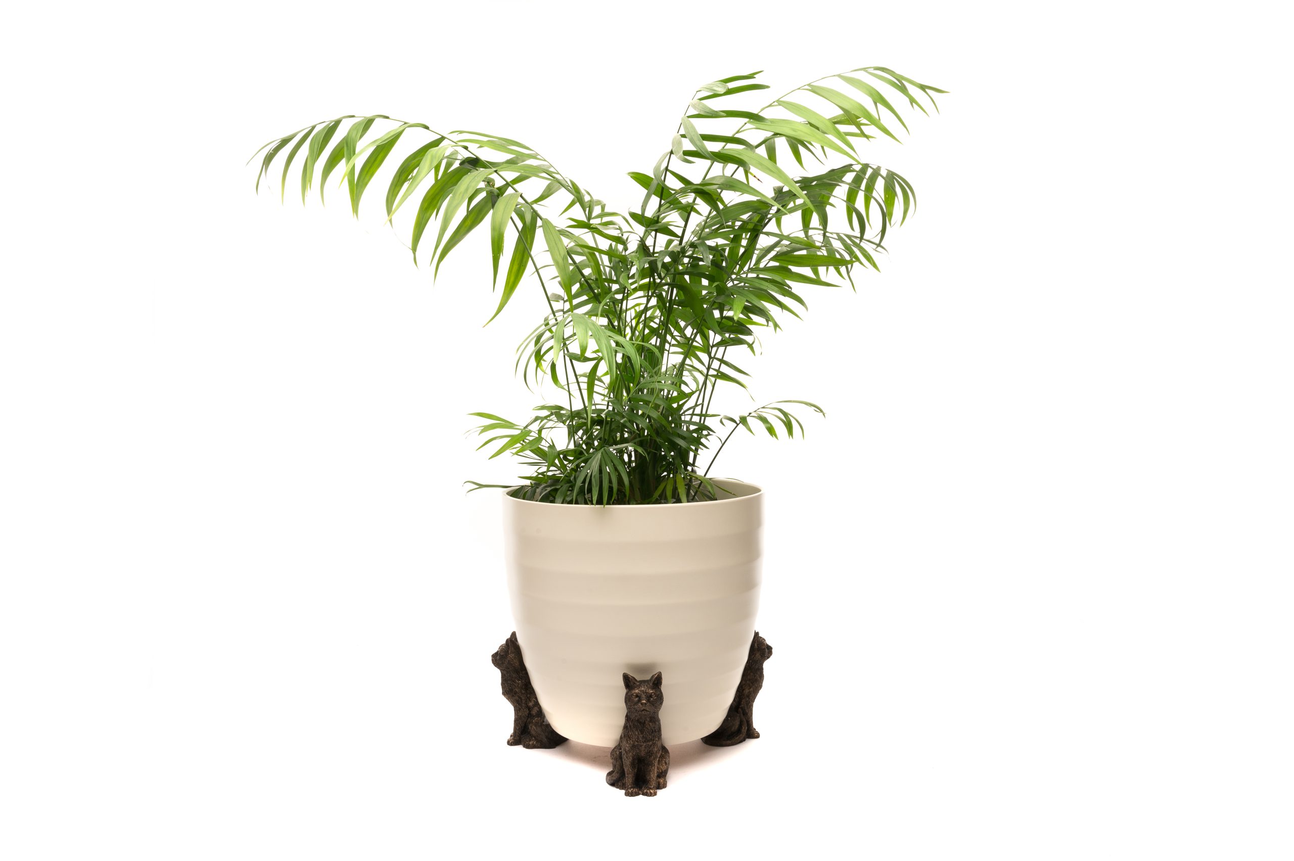 Cat Potty Feet and Pot Buddy & Cane Companion Bundle Set – Jardinopia Ltd