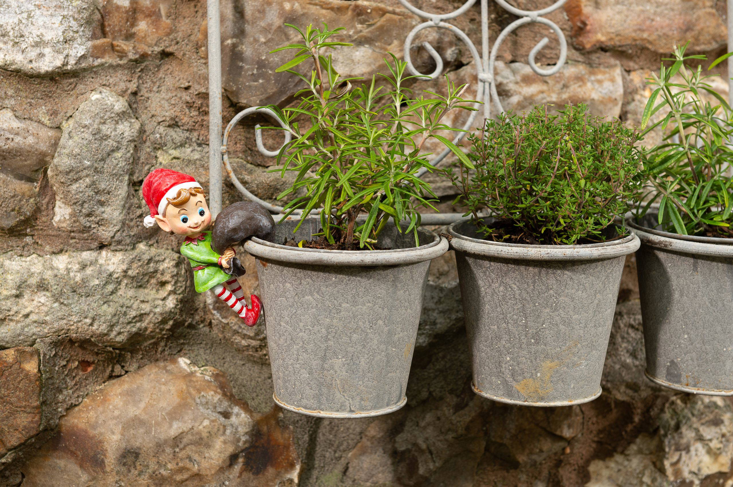 Christmas Set of 5 Pot Buddies – Jardinopia Ltd