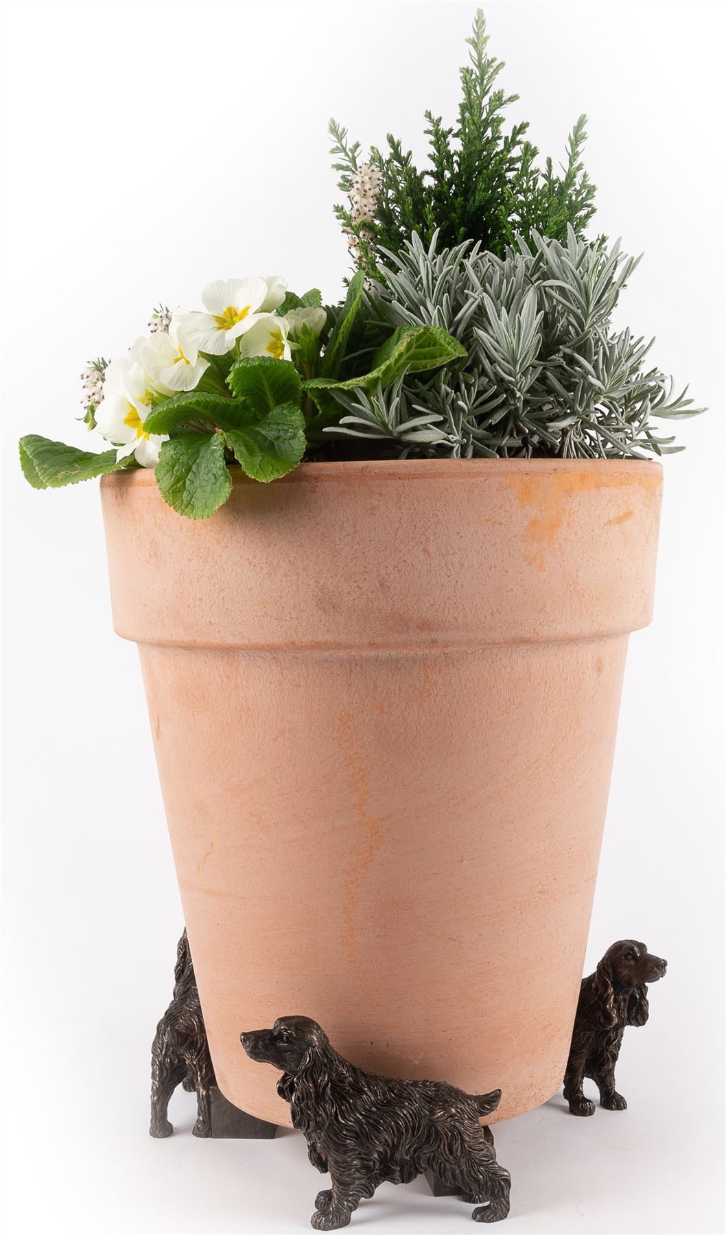 Cocker Spaniel Plant Pot Feet – Set of 3 – Jardinopia Ltd