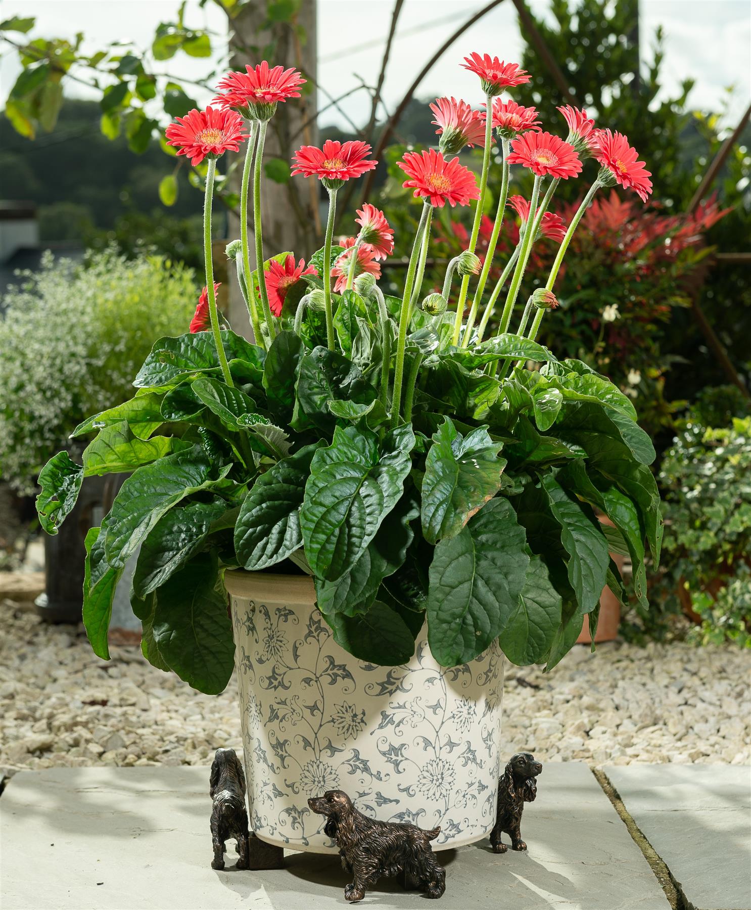 Cocker Spaniel Plant Pot Feet – Set of 3 – Jardinopia Ltd