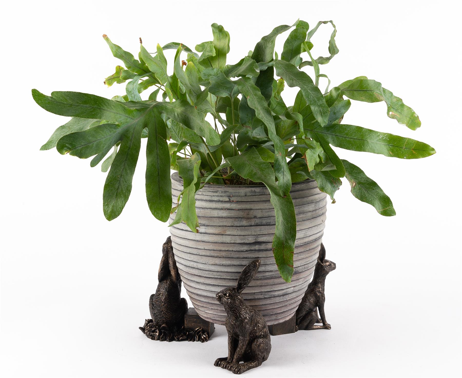 Drove Of Hares Plant Pot Feet – Set of 3 – Moongazing, Sitting and ...