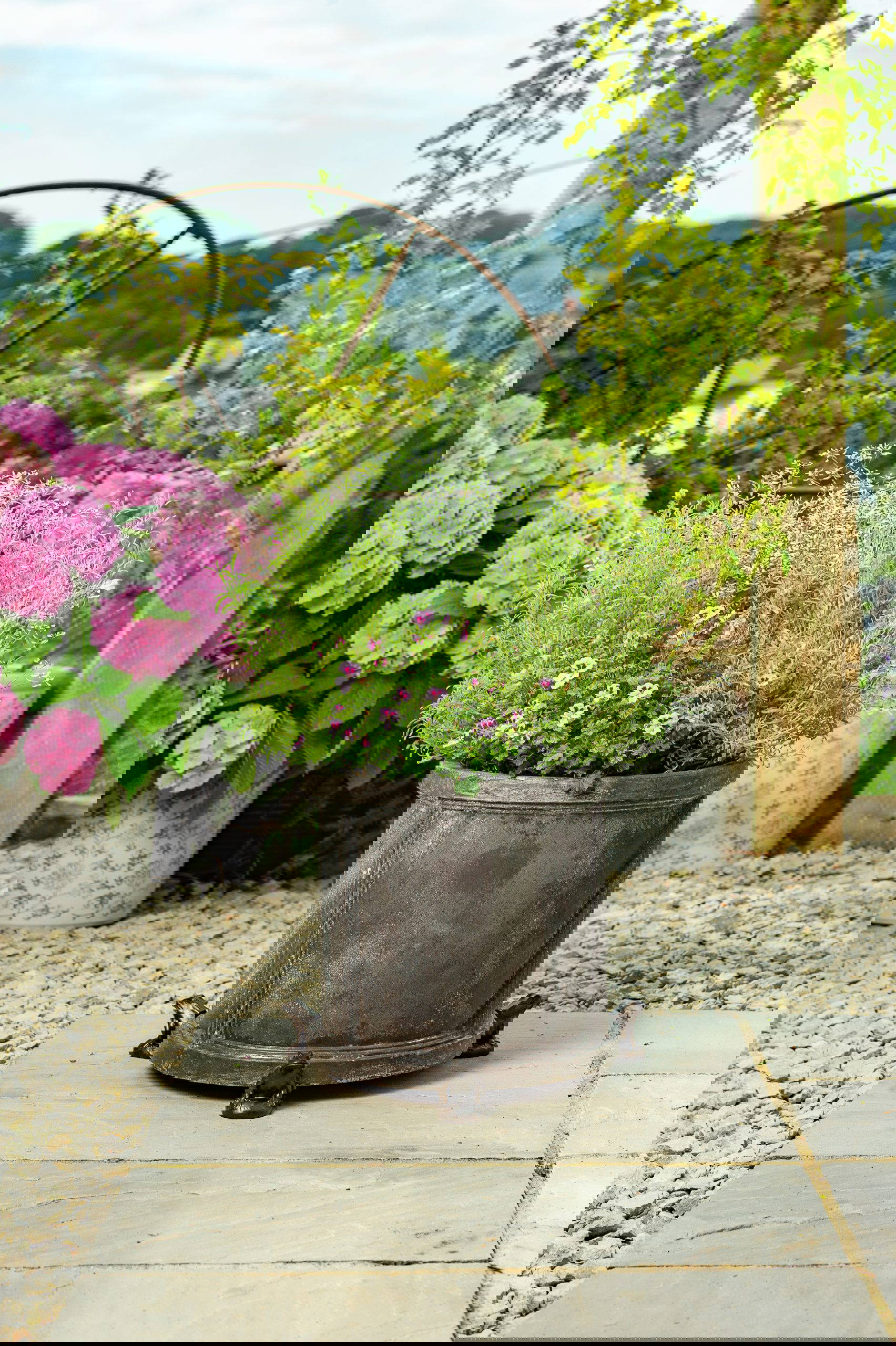 Frog Potty Feet and Pot Buddy Bundle Set – Jardinopia Ltd