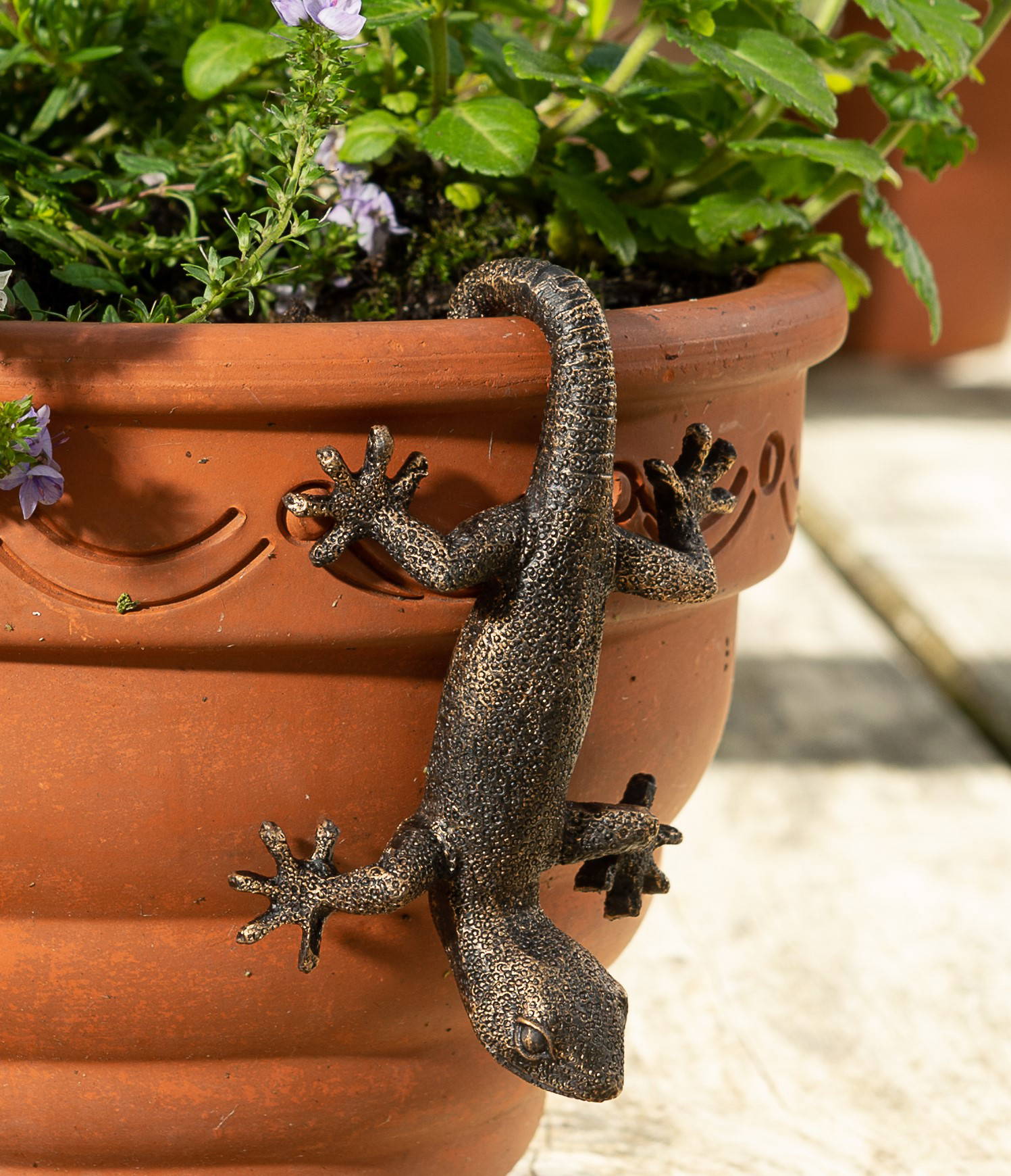 Gecko & Snake Bundle Set – Jardinopia Ltd
