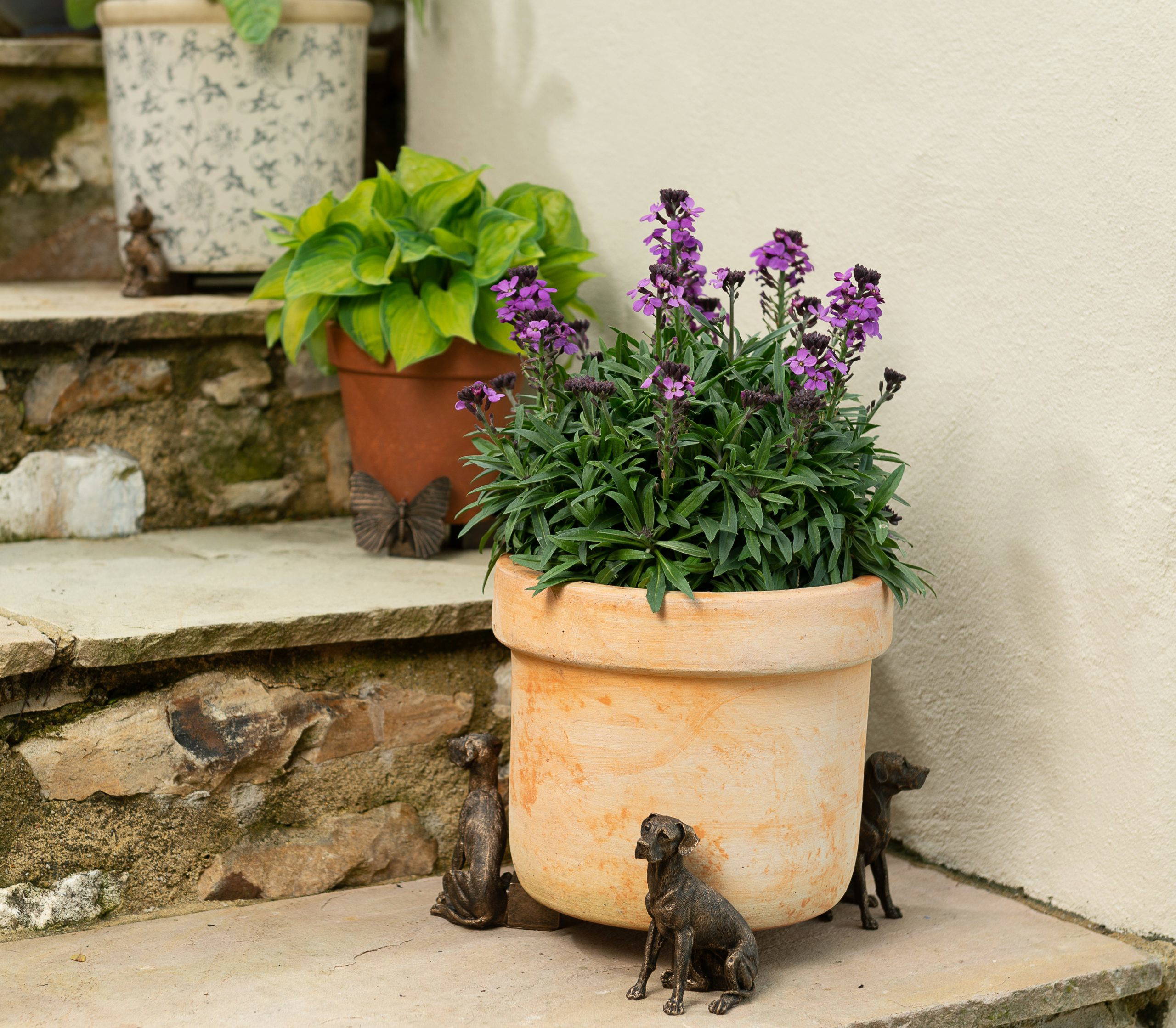 Great Dane Plant Pot Feet – Set of 3 – Jardinopia Ltd