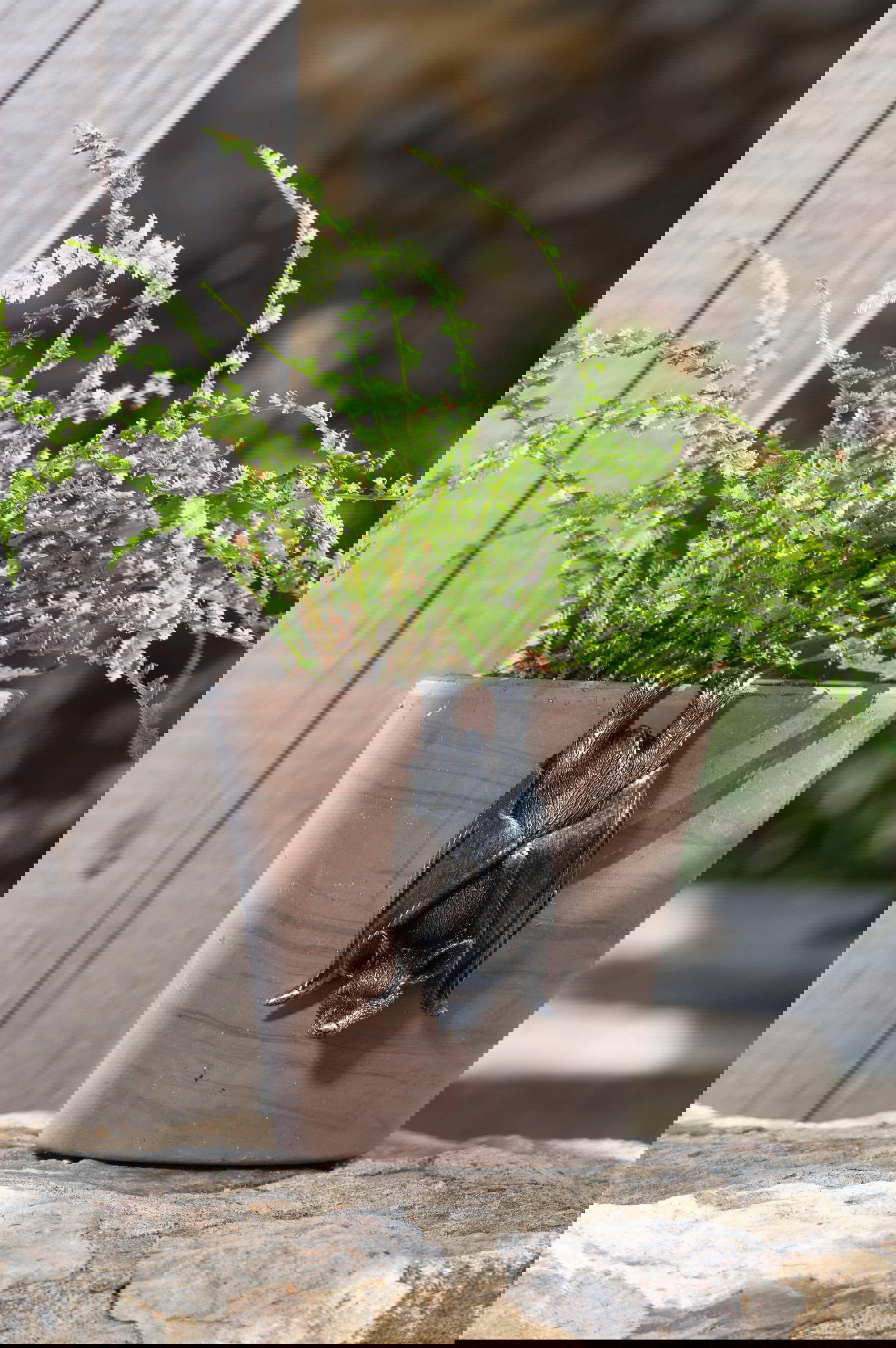 Hanging Bat & Bat With Wings Open – Jardinopia Ltd