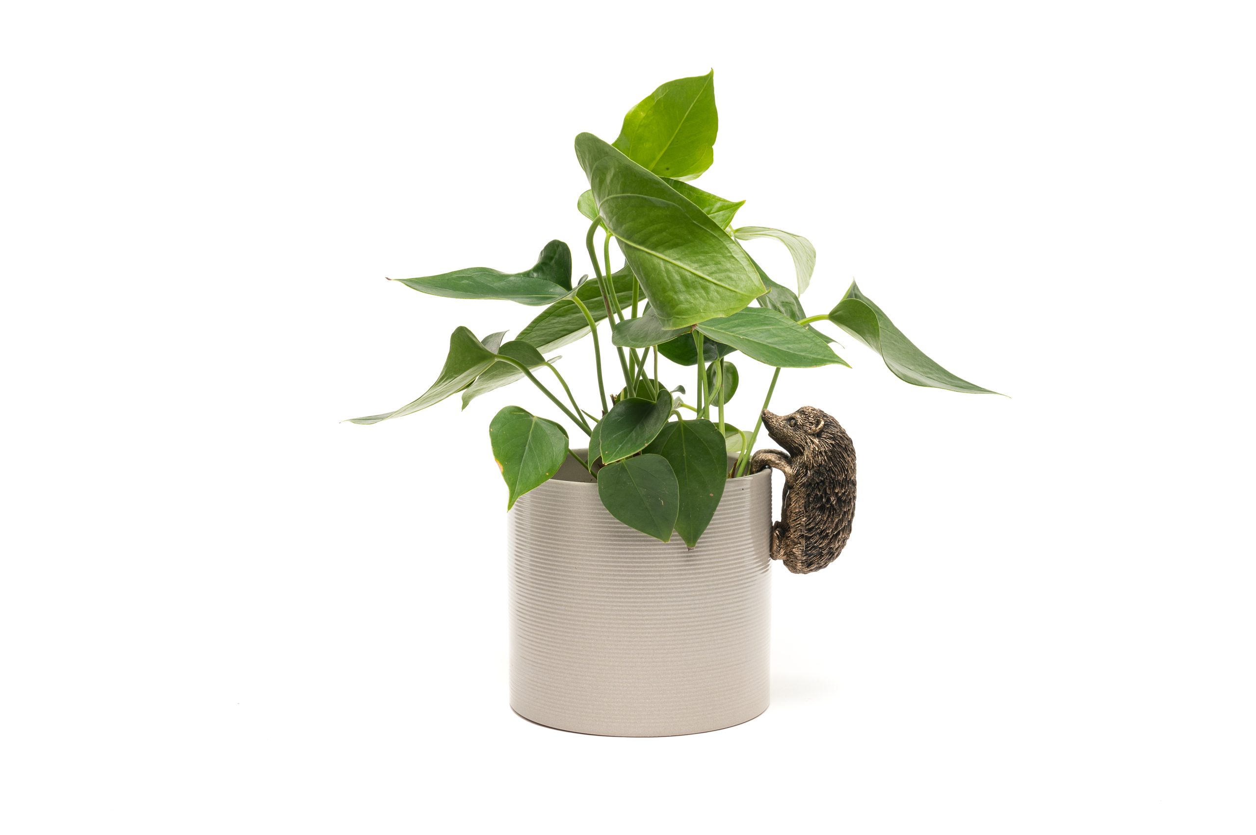 Hedgehog Potty Feet and Pot Buddy – Jardinopia Ltd