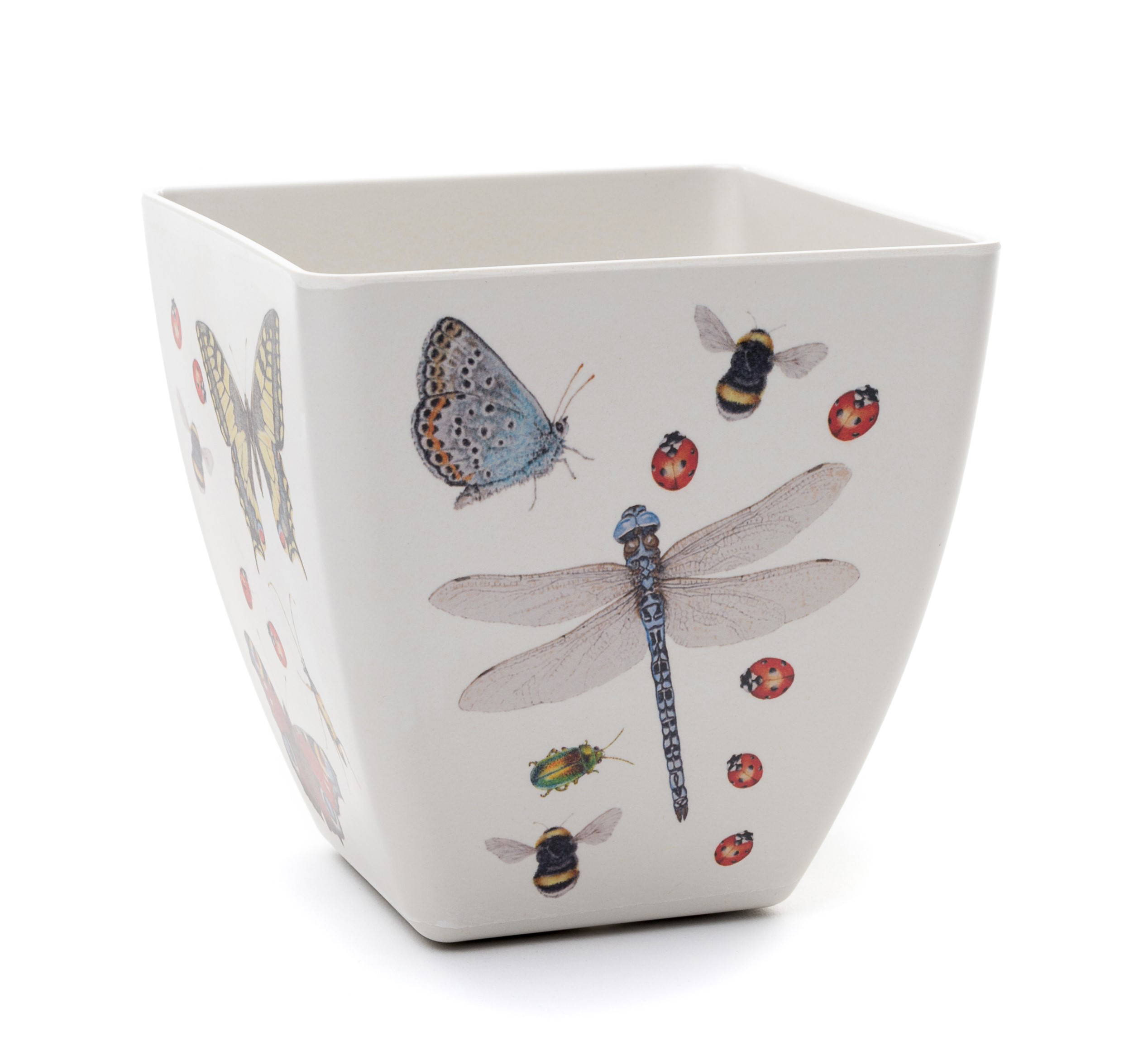 Iona Buchanan Insects Eco Pots Set of 3 With Tray – Gift Packaged ...