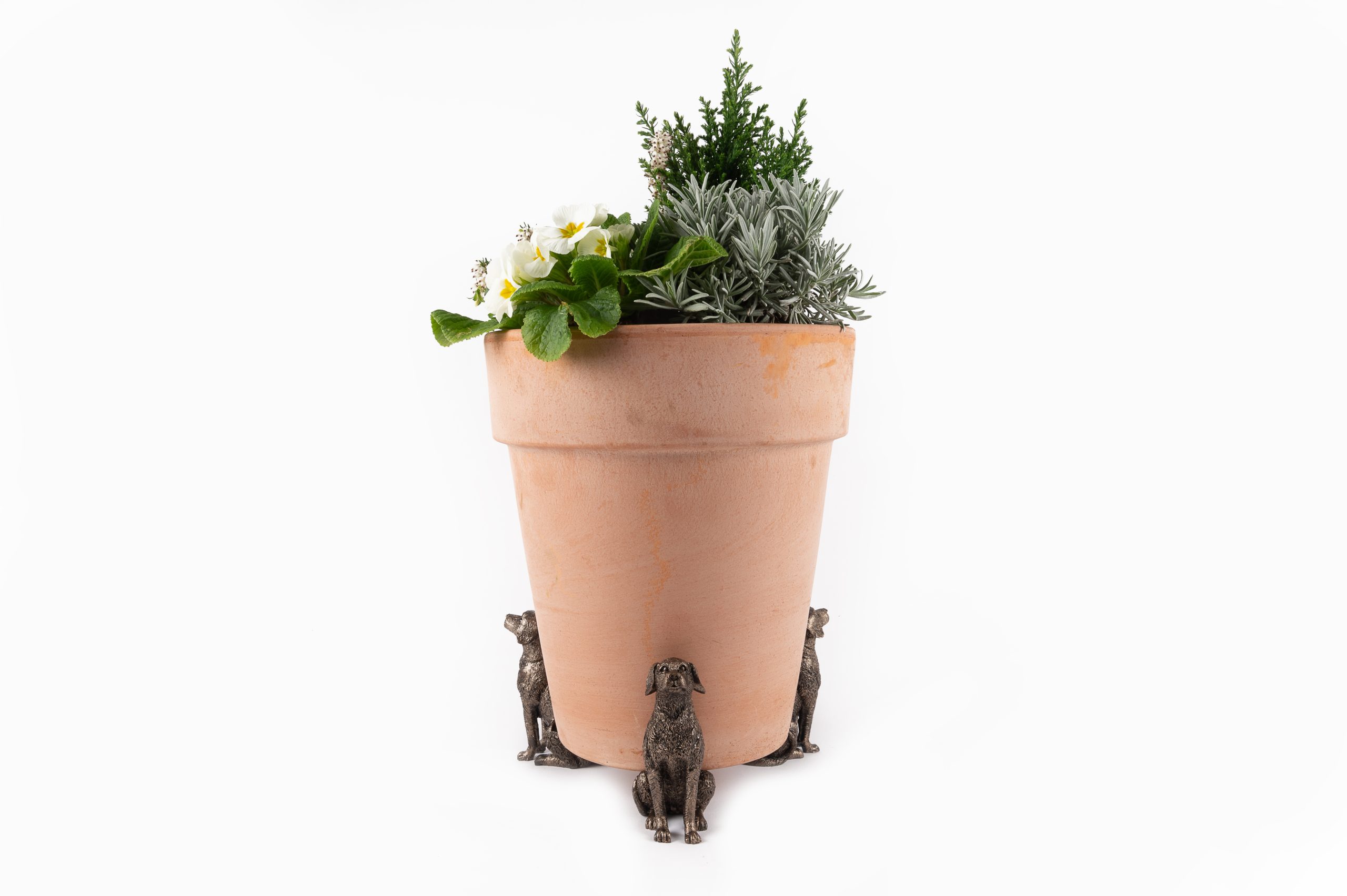Labrador Potty Feet, Pot Buddy – Jardinopia Ltd