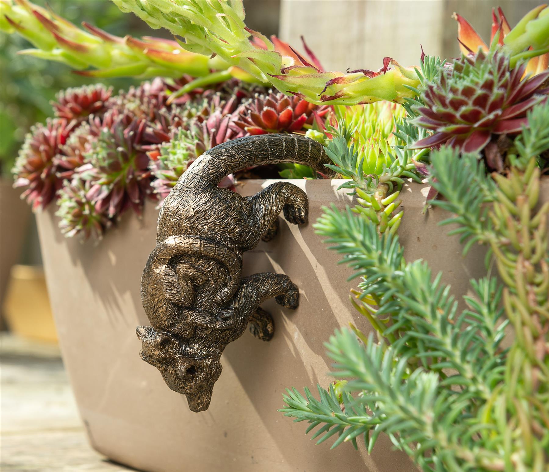 Lemur and Pup Plant Pot Hanger – Jardinopia Ltd