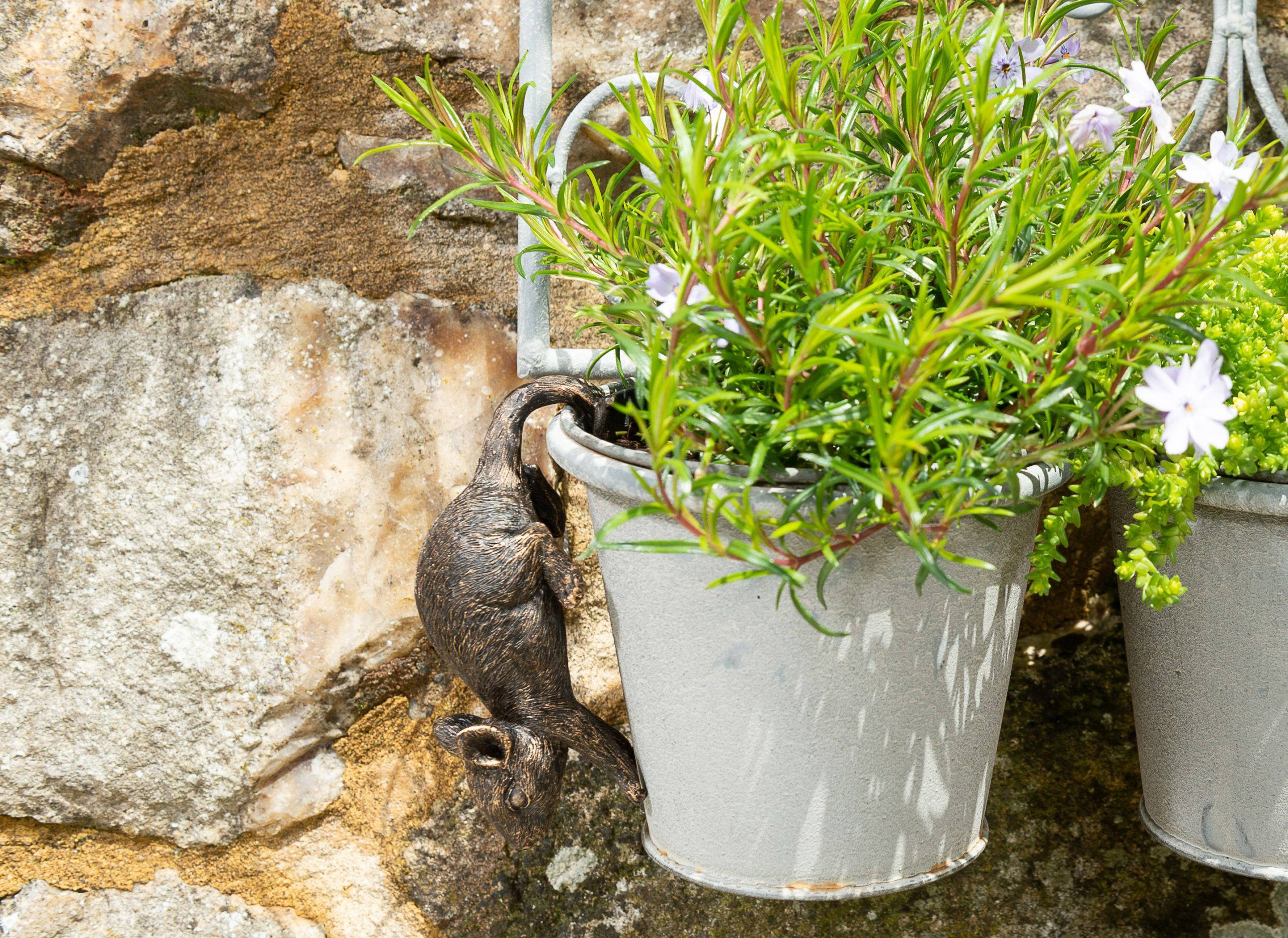 Mouse Potty Feet, Pot Buddy and Cane Companion – Jardinopia Ltd