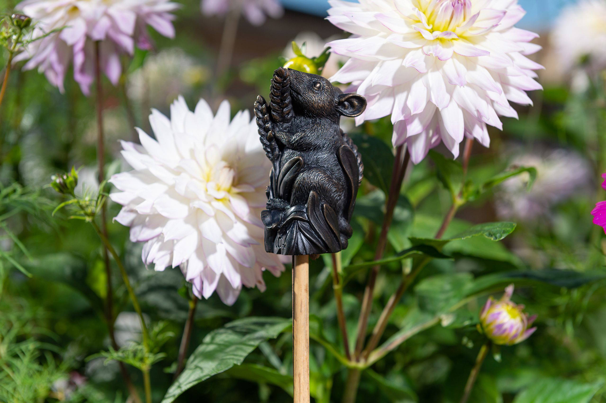 Mouse Potty Feet, Pot Buddy and Cane Companion – Jardinopia Ltd