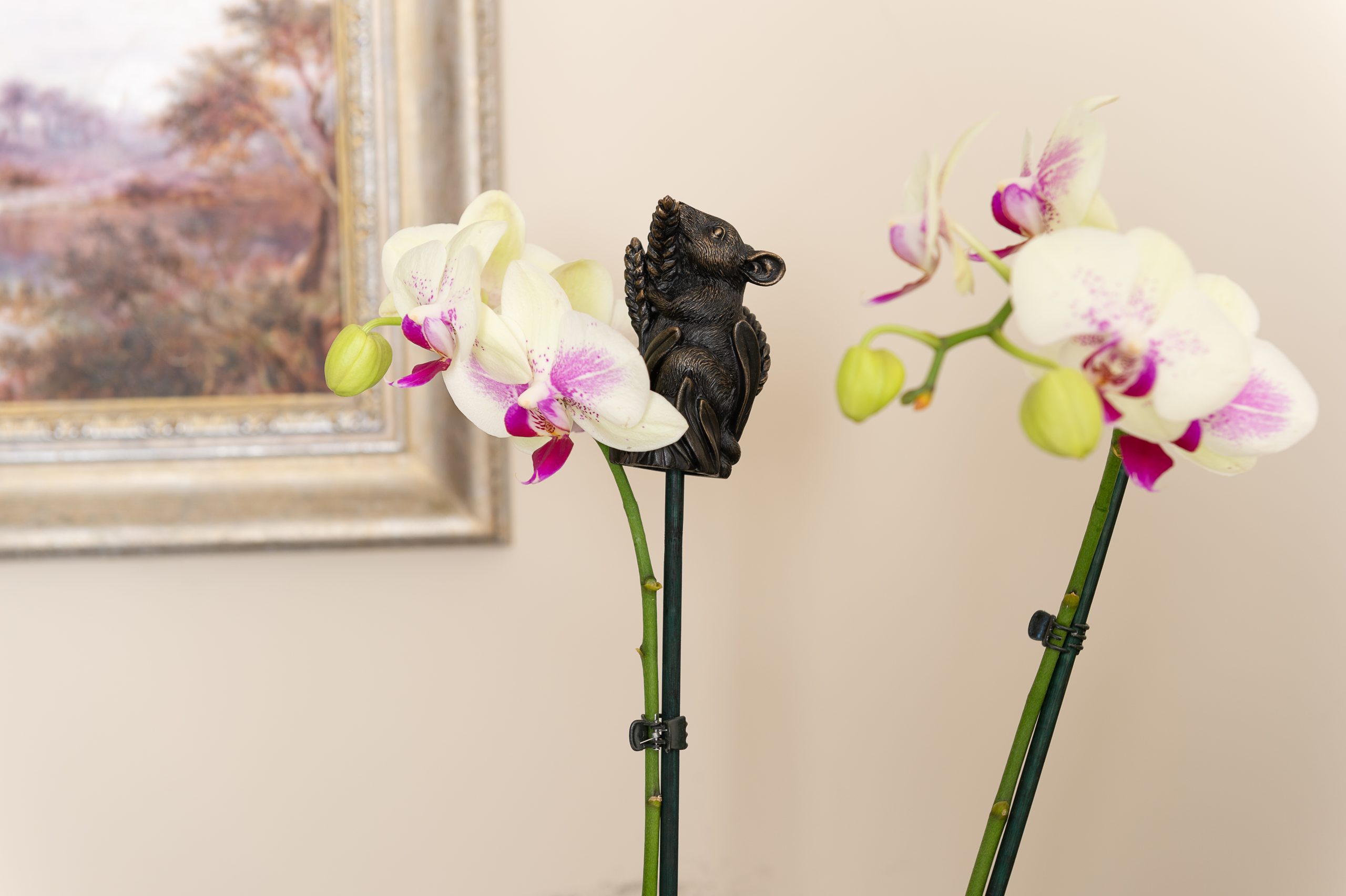 Mouse Potty Feet, Pot Buddy and Cane Companion – Jardinopia Ltd