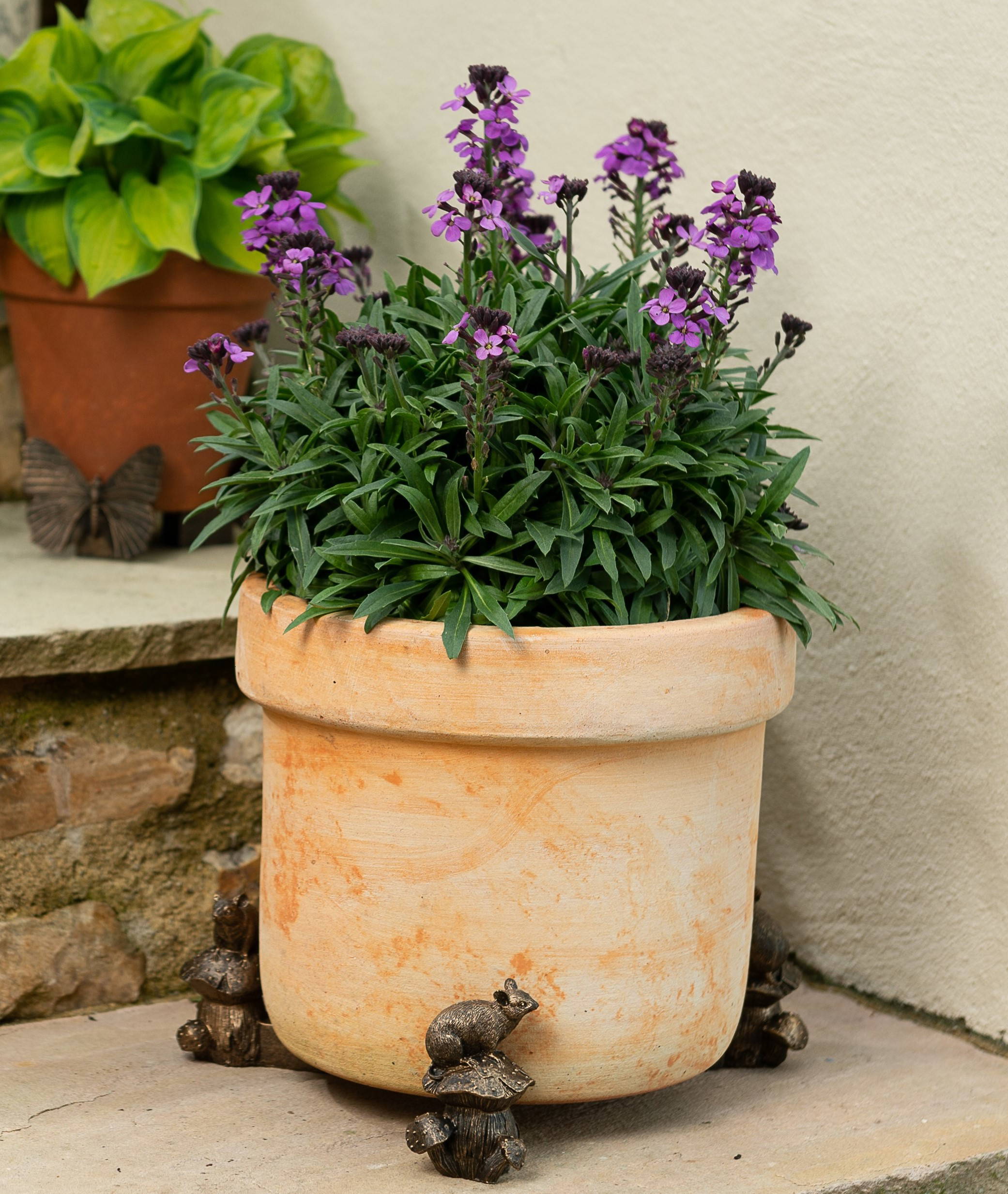 Mouse Potty Feet, Pot Buddy – Jardinopia Ltd