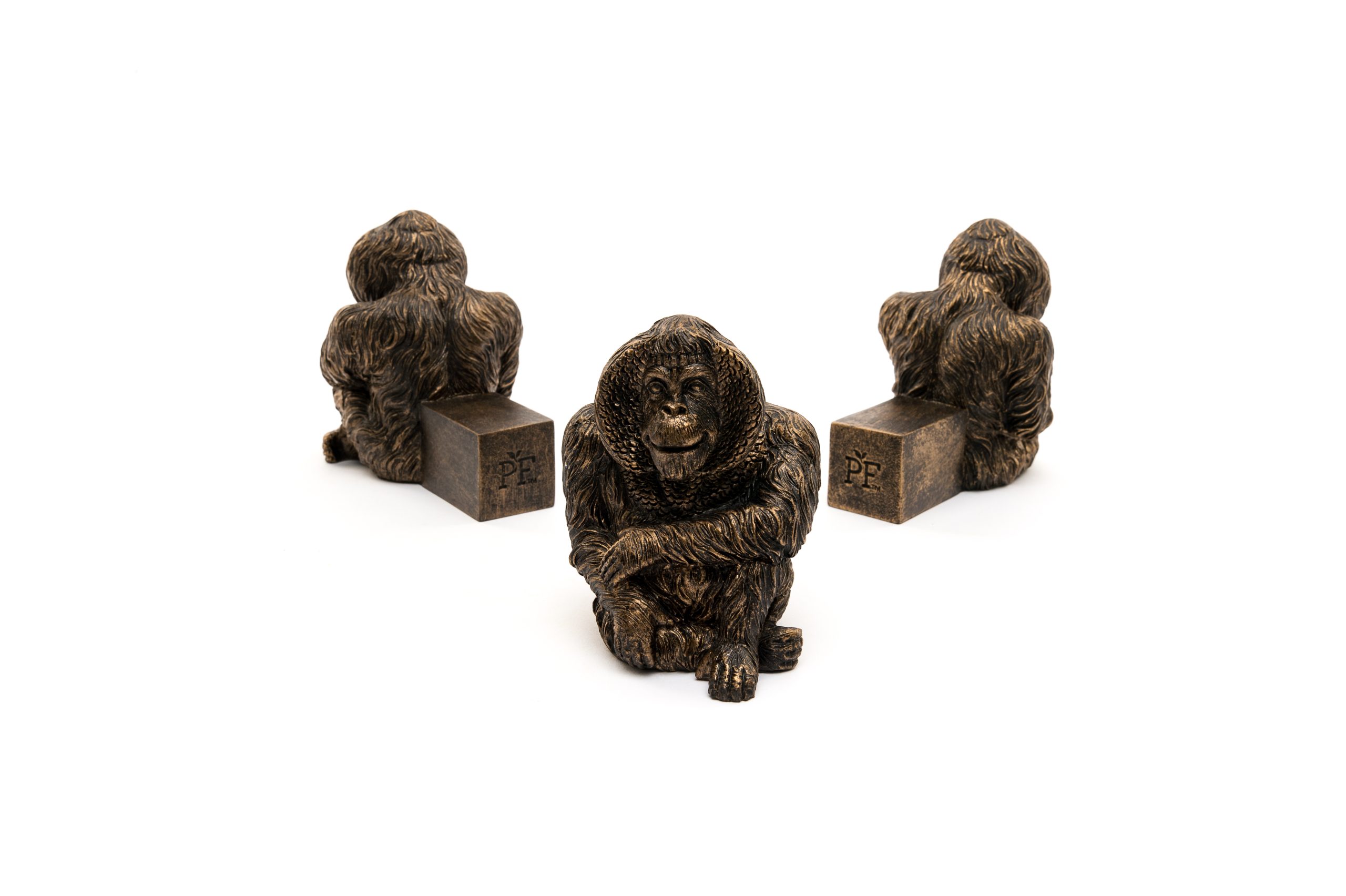 Organutan Potty Feet and Pot Buddy – Jardinopia Ltd