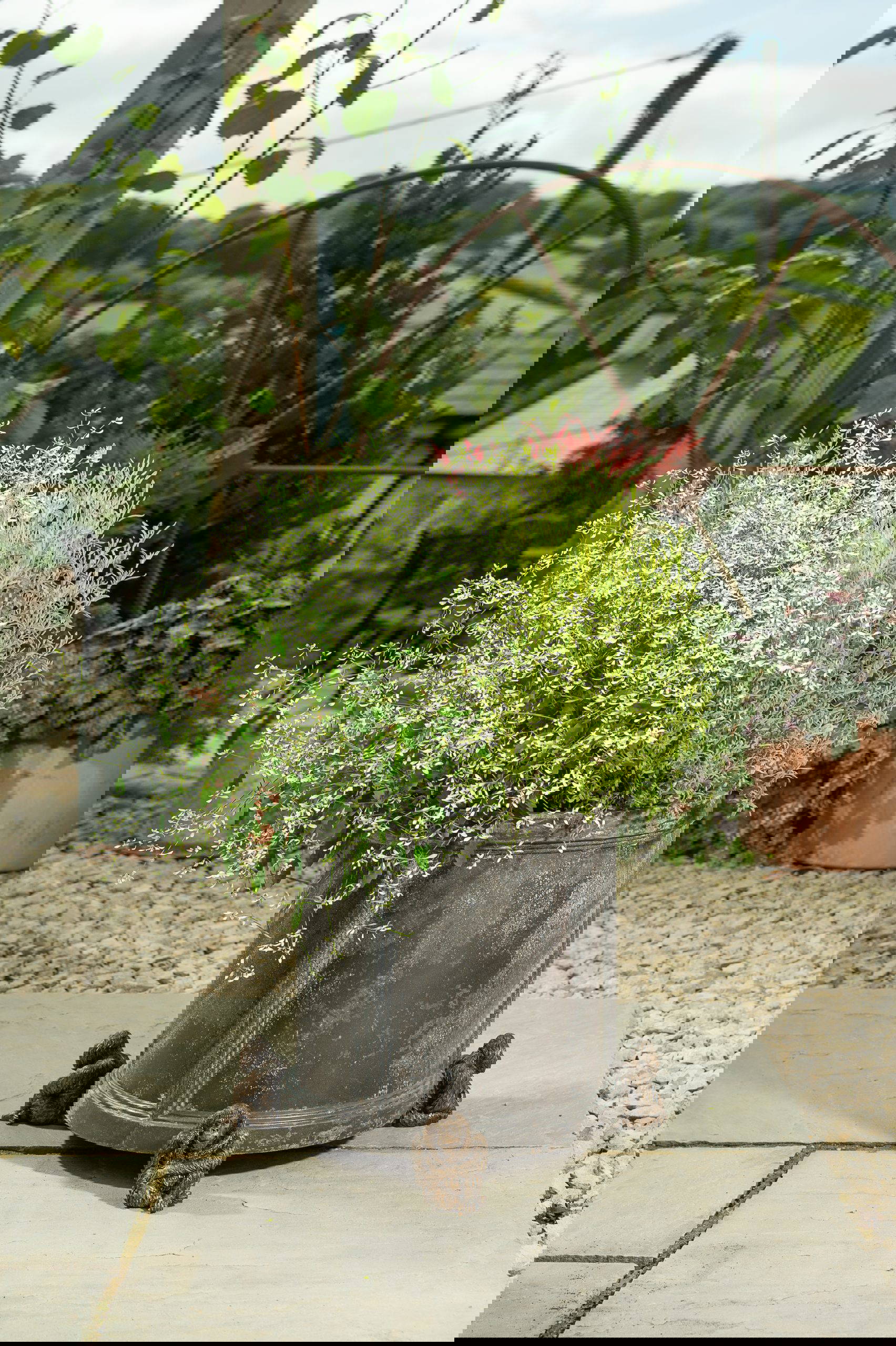 Organutan Potty Feet and Pot Buddy – Jardinopia Ltd