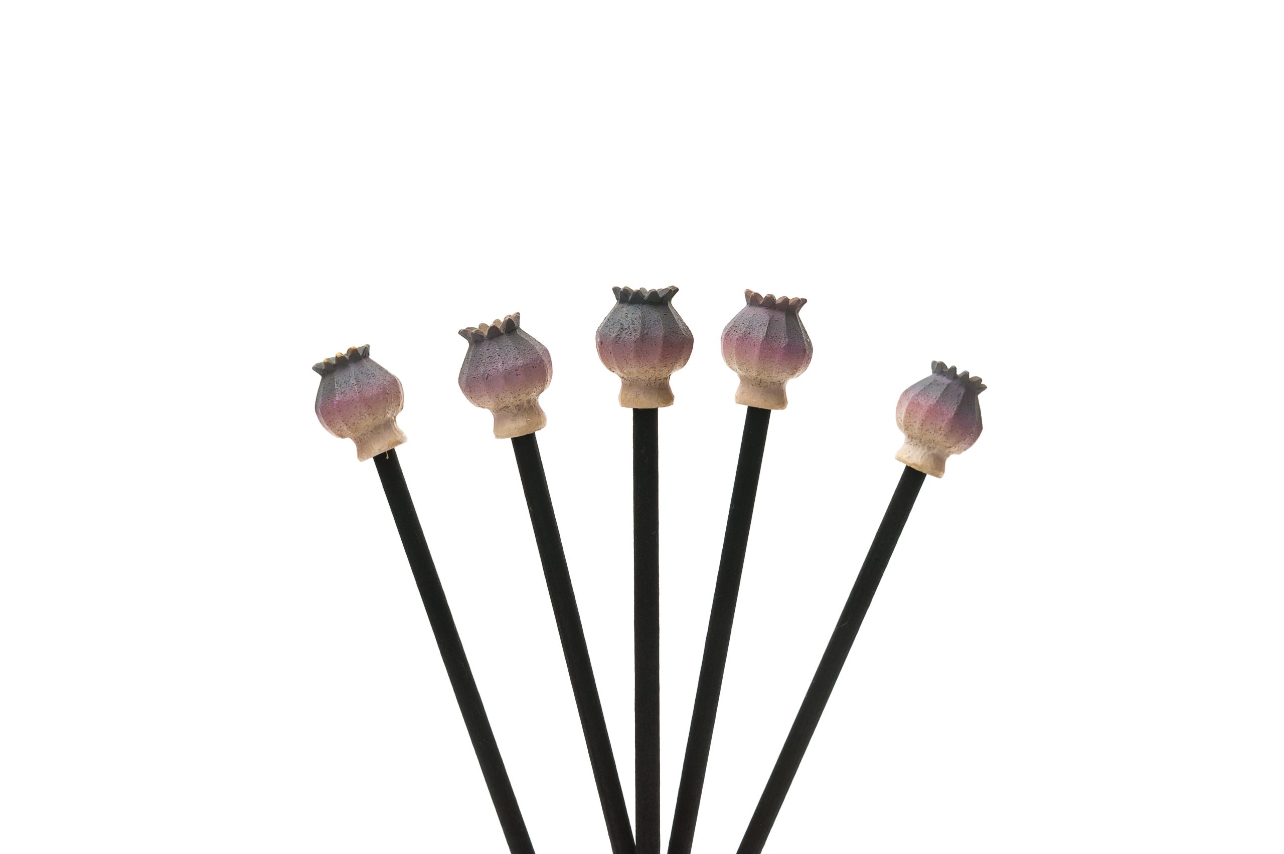 Poppy Seed Heads Diffuser Decor Reed Diffuser Decoration – Set of 5 ...