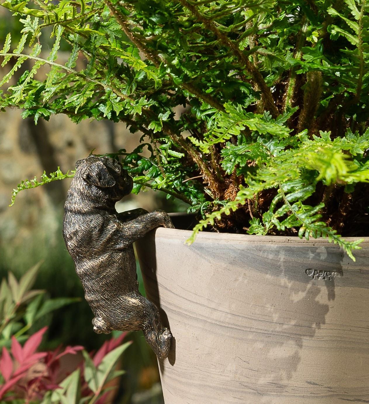 Pug Plant Pot Hanger – Jardinopia Ltd