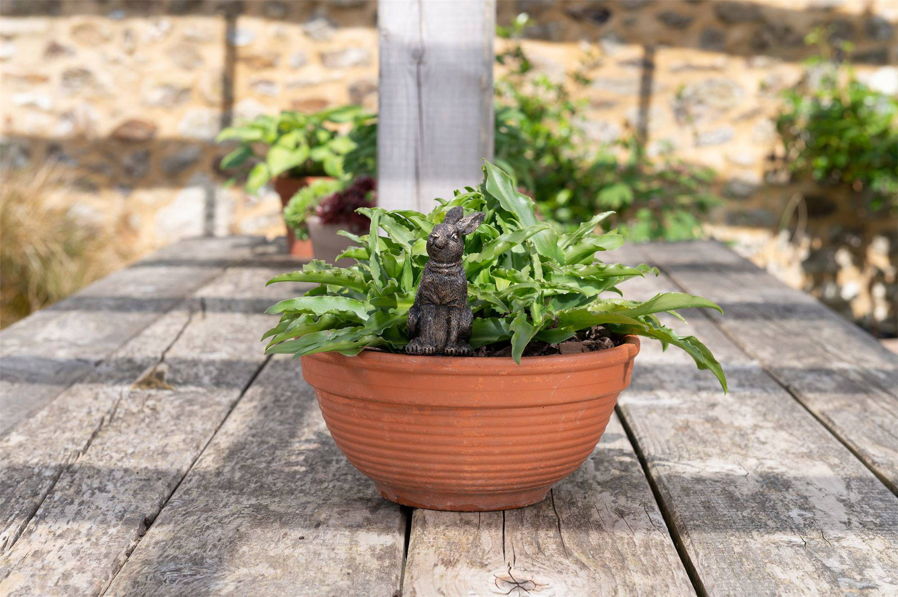 Rabbit Plant Drip Feeder Cover & Feed - Jardinopia Ltd