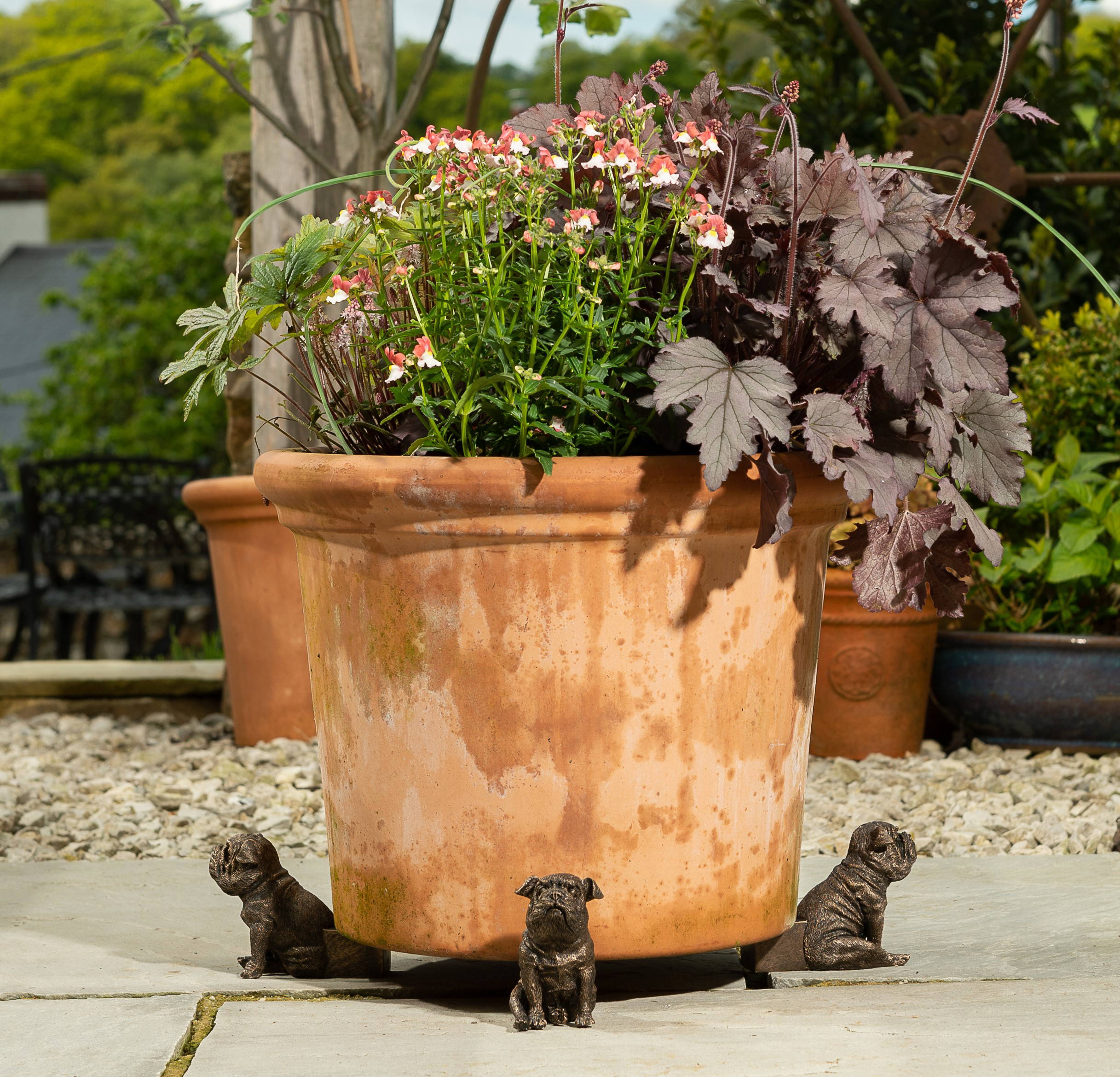 Sitting British Bulldog Plant Pot Feet – Set of 3 – Jardinopia Ltd