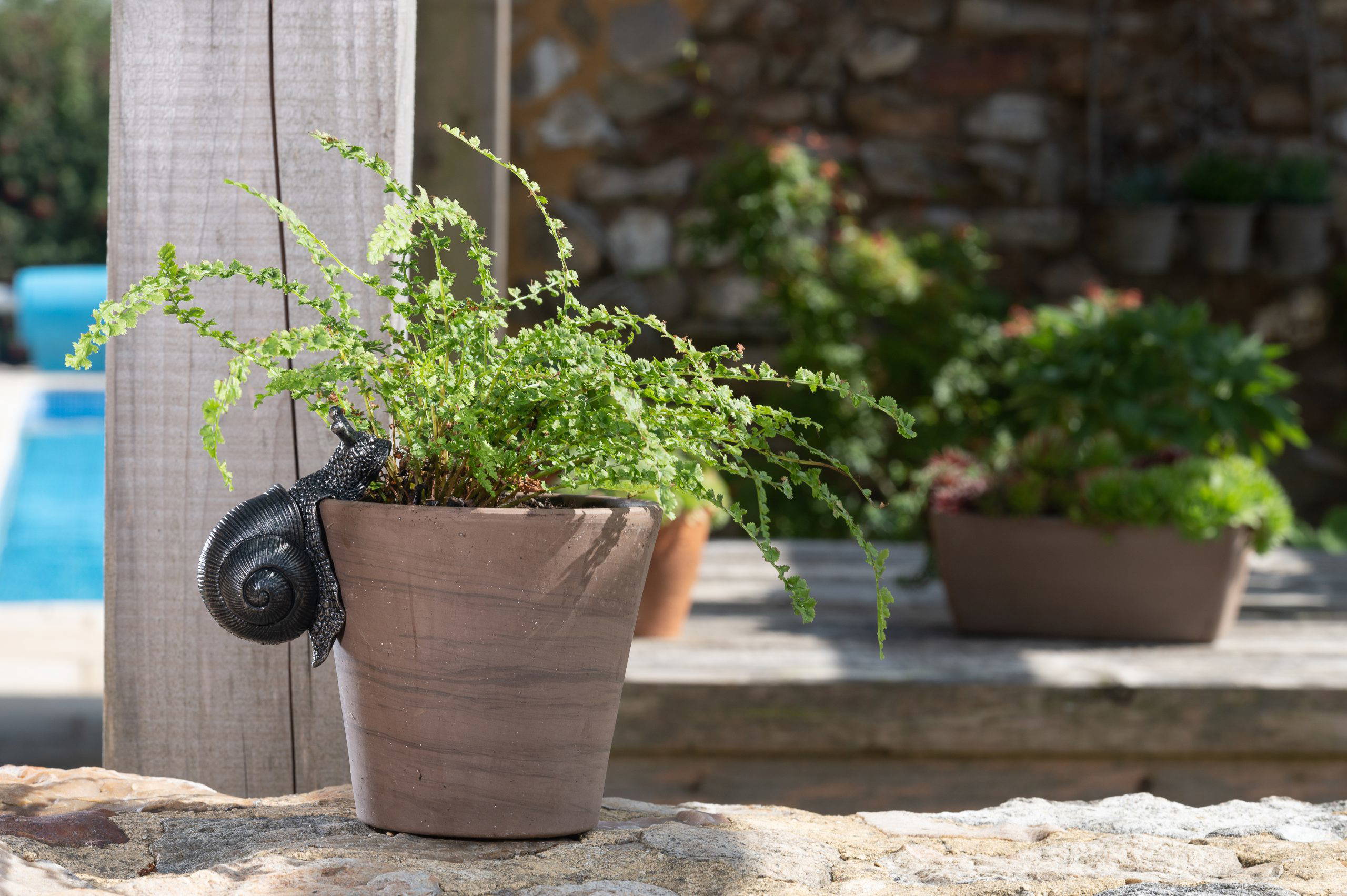 Snail Potty Feet and Pot Buddy Bundle Set - Jardinopia Ltd