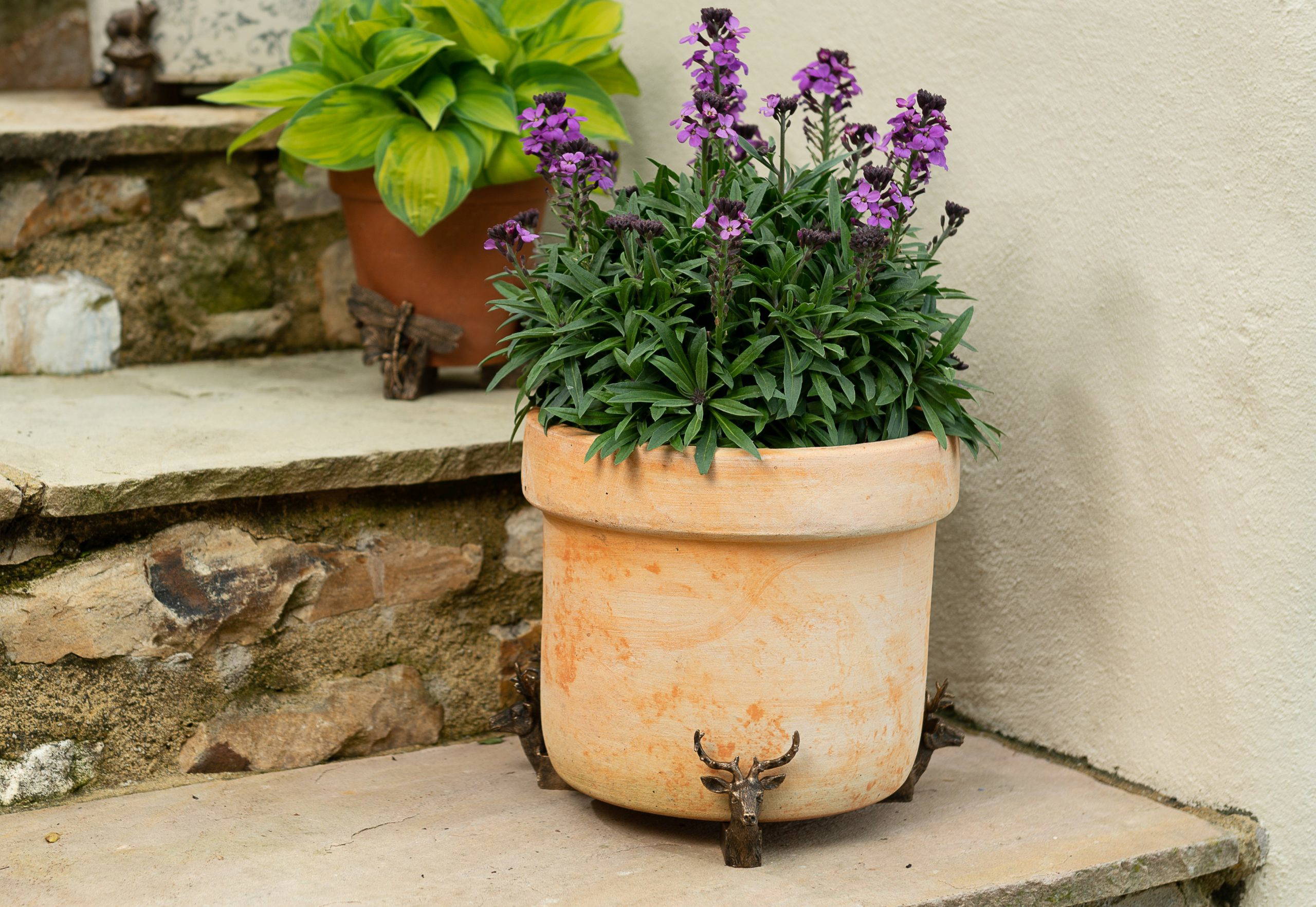 Stag Plant Pot Feet – Set of 3 – Jardinopia Ltd