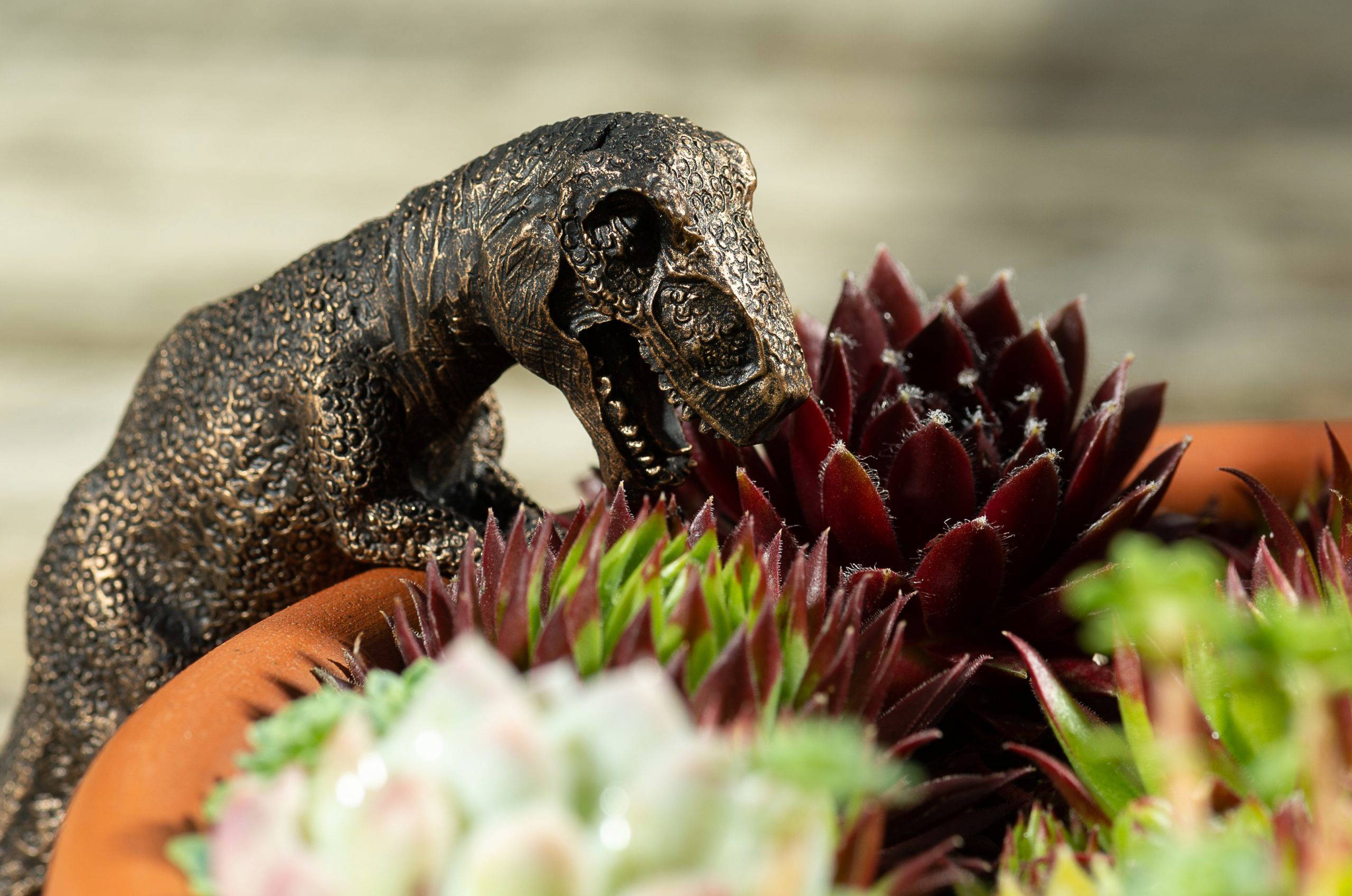 Tyranasaurus Rex Plant Pot Hanger - Jardinopia Ltd