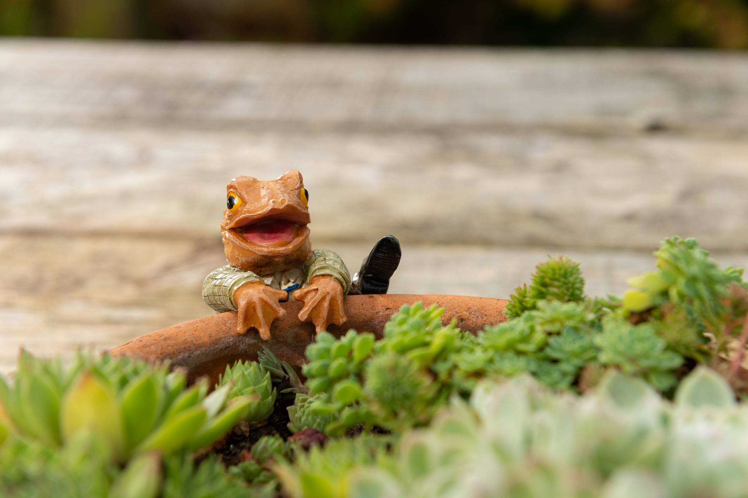 Wind In The Willows Range of 5 Pot Buddies – Jardinopia Ltd