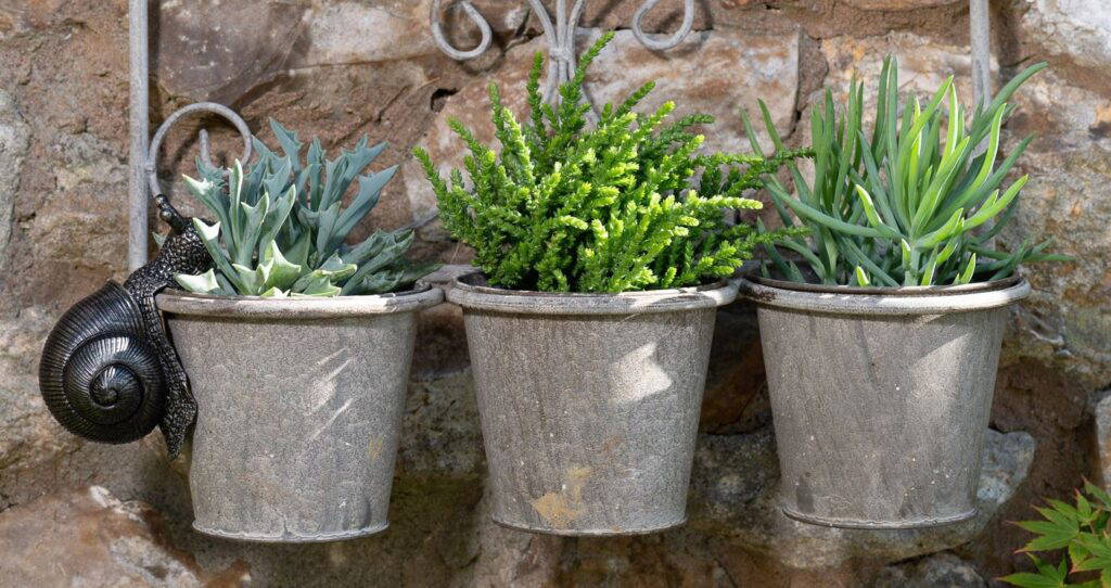 Snail Plant Pot Hanger – Jardinopia Ltd
