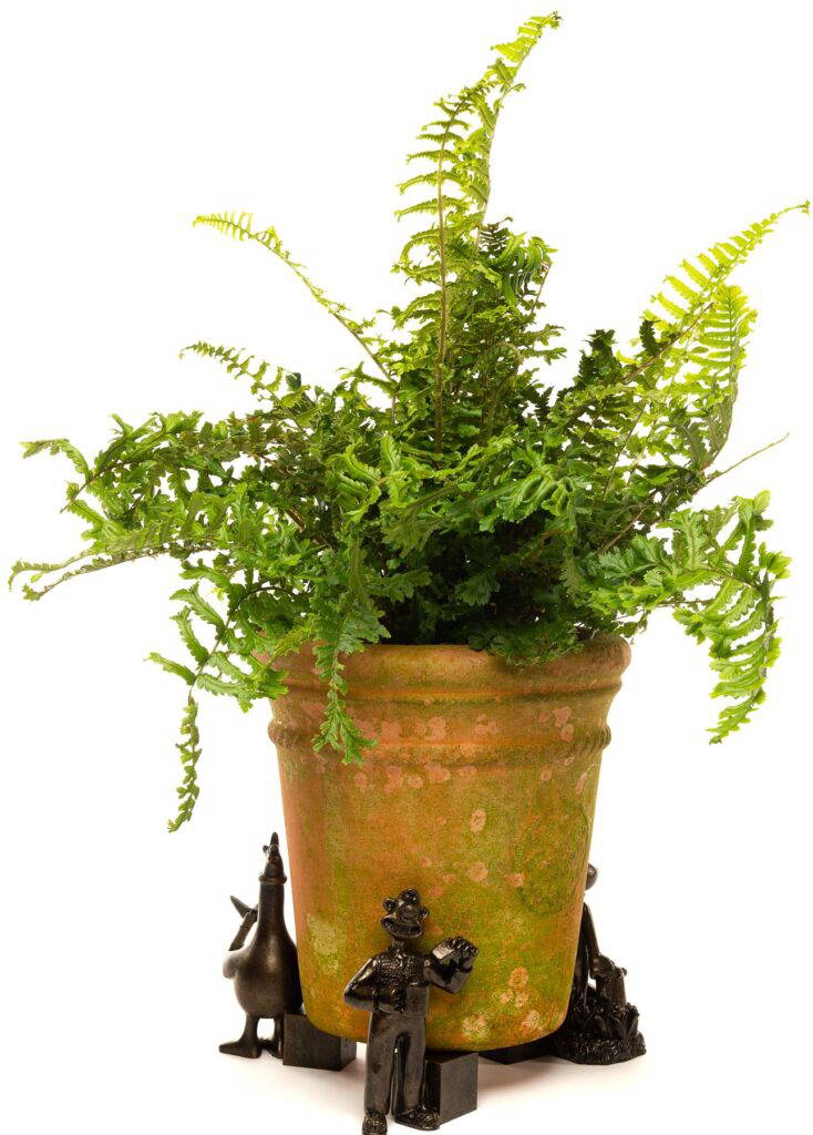 Wallace and Gromit Plant Pot Feet - Wallace, Gromit and Feathers McGraw ...