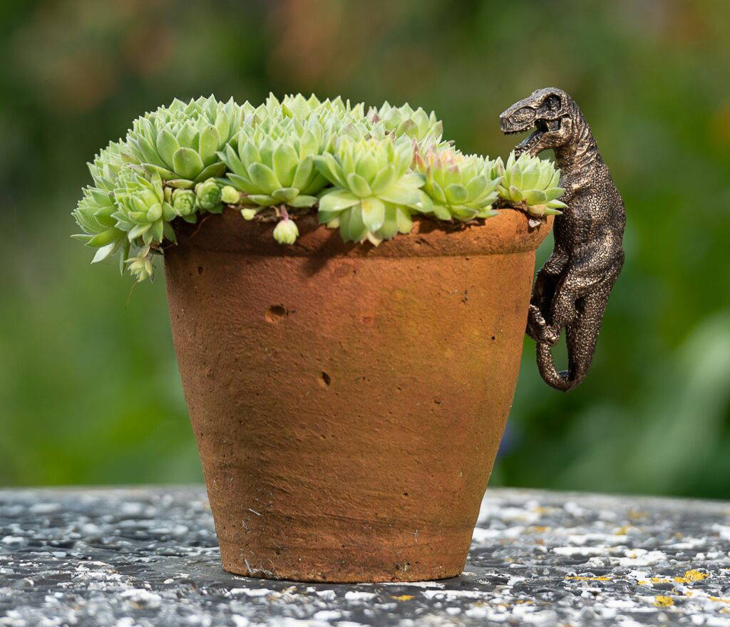 Tyranasaurus Rex Plant Pot Hanger - Jardinopia Ltd