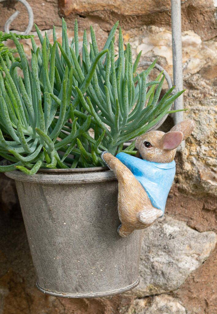 Beatrix Potter Peter Rabbit Climbing Plant Pot Hanger - Jardinopia Ltd