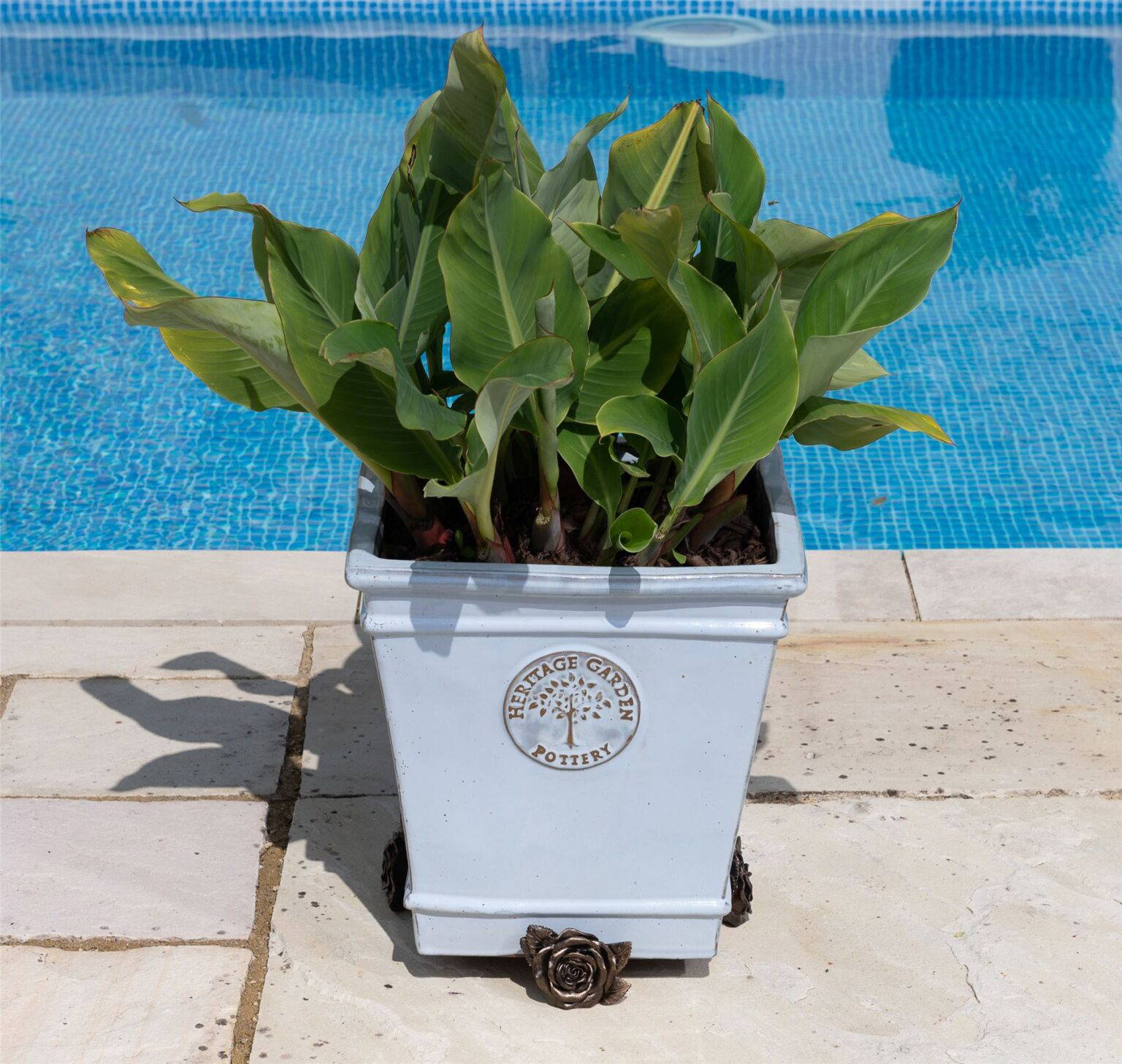 Rose Plant Pot Feet - Set of 3 - Jardinopia Ltd