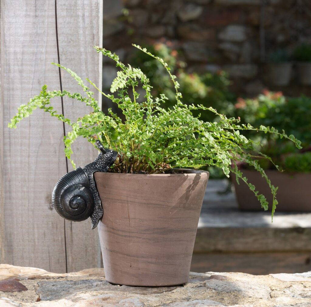Snail Plant Pot Hanger - Jardinopia Ltd