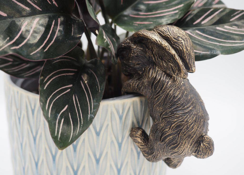 Rabbit Pot Buddies Plant Pot Hanger – Jardinopia Ltd